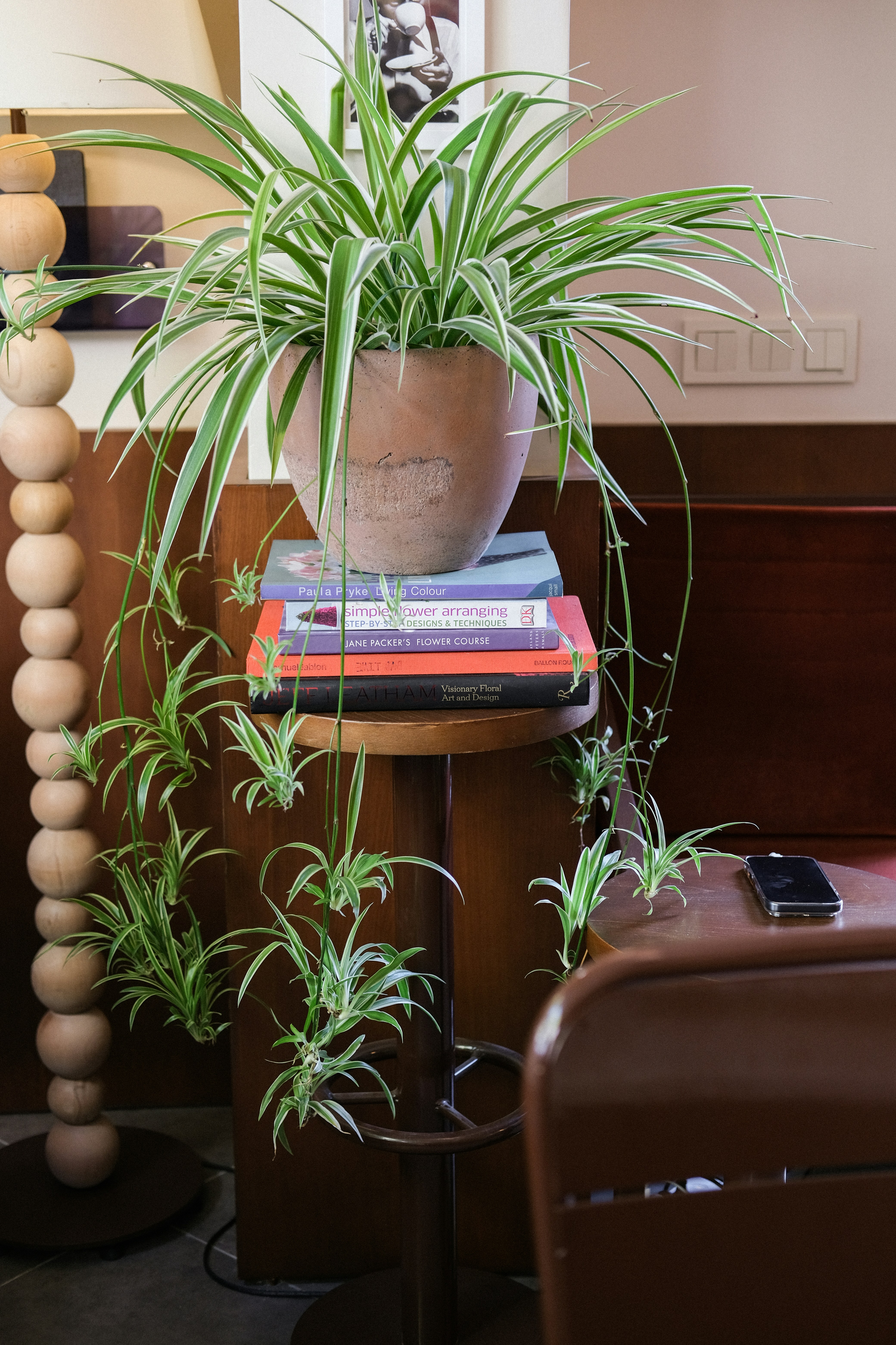 Plants in a Cozy Corner: Verdant Leader on a Wooden Pedestal