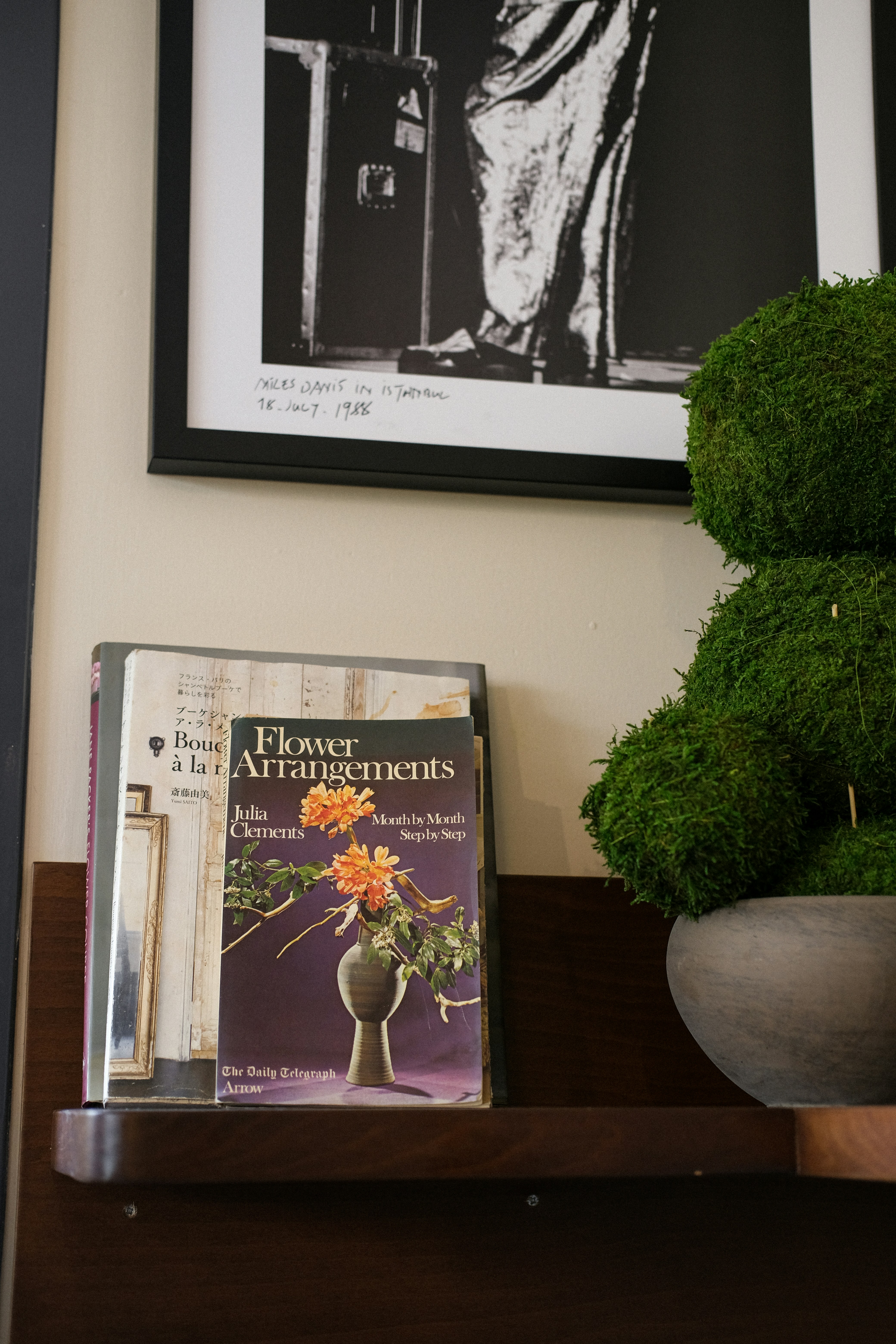 Shelf-side Bouquet: A Quiet Corner of Books and Topiary