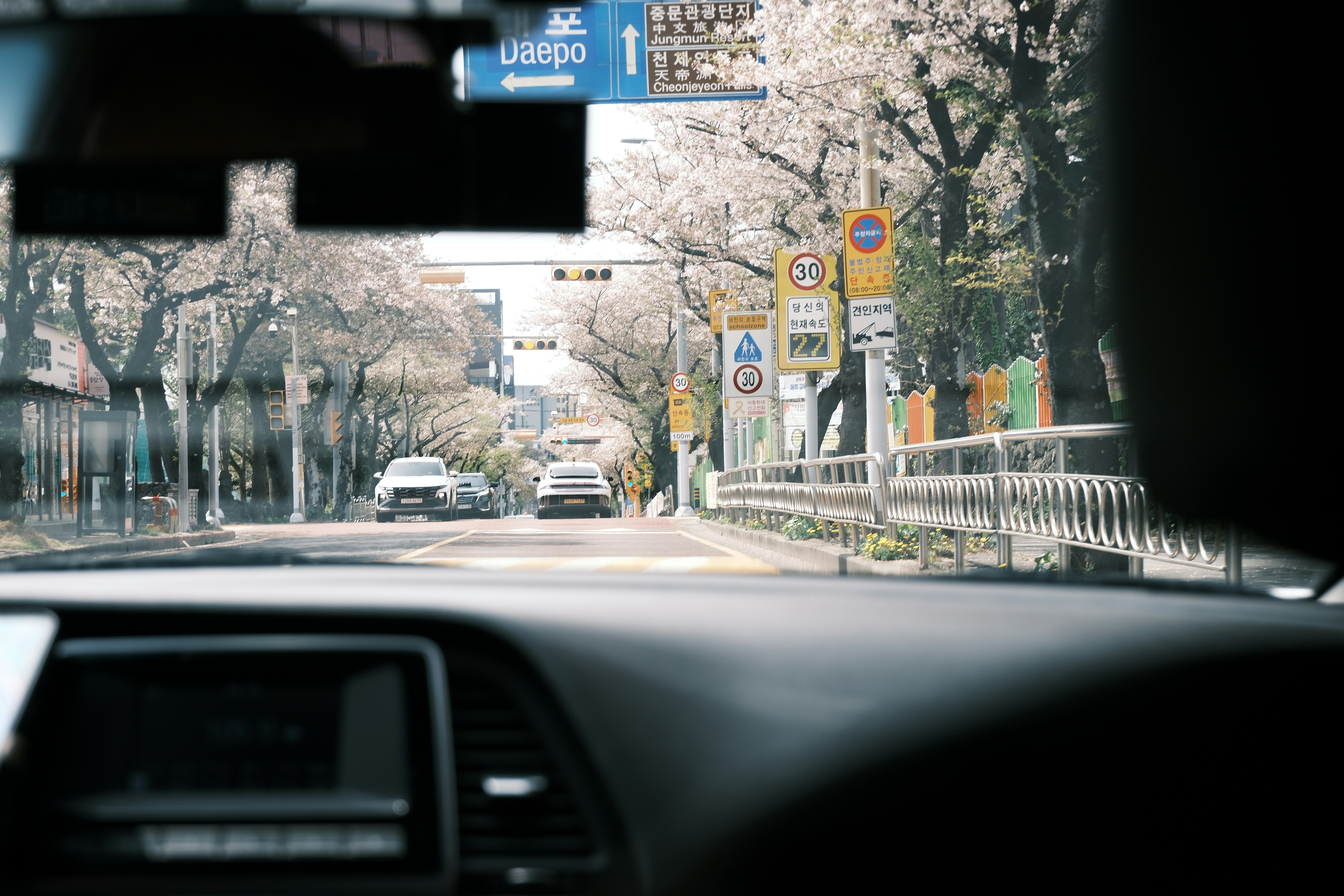 Through the Car Window: A Quiet Street Scene in Bloom