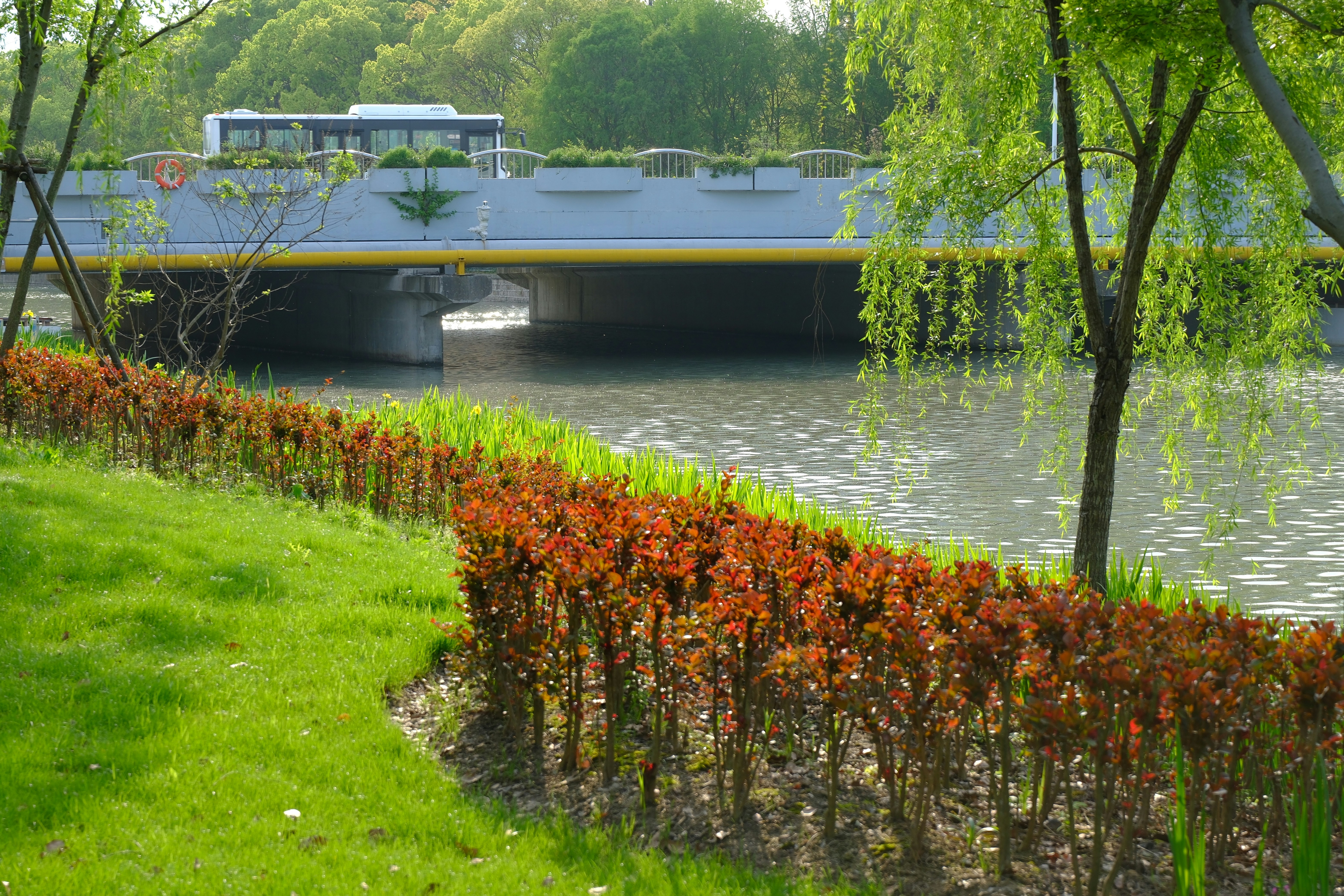 Bridge Over Quiet River: A Sunlit Riverside Park Moment