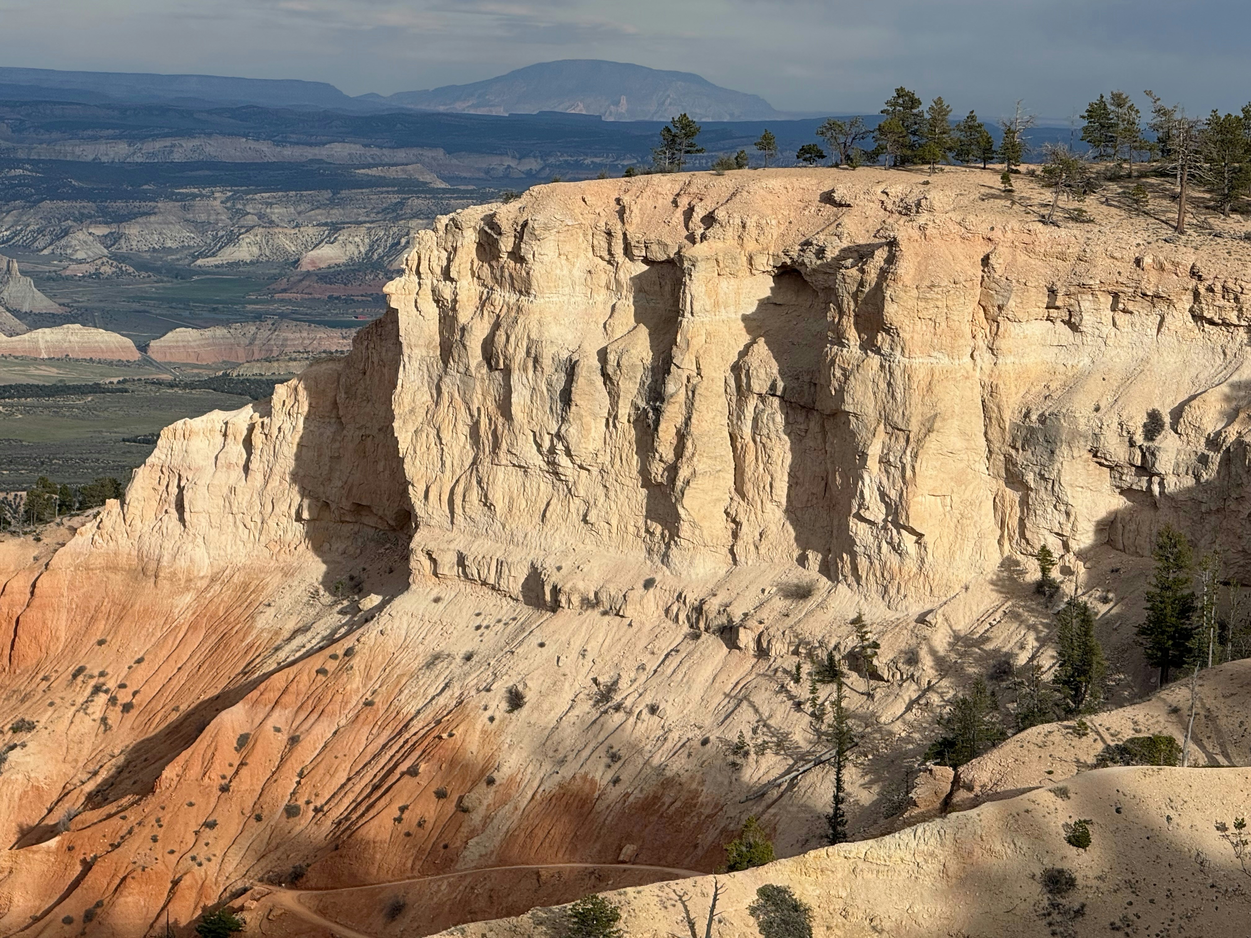 Sunlit cliff face at Bryce-like amphitheater with windswept pines