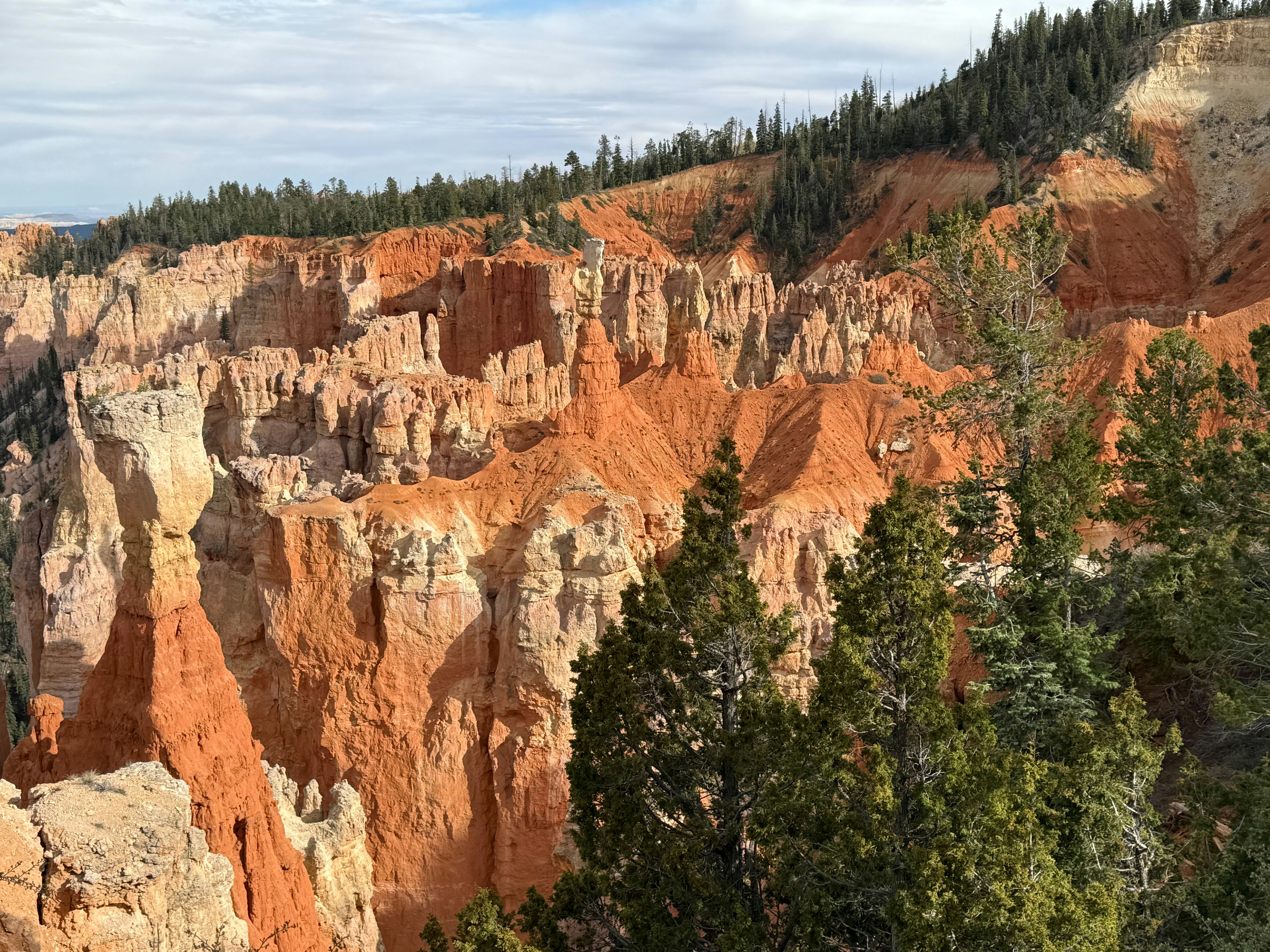 Ridge of Rust and Pine