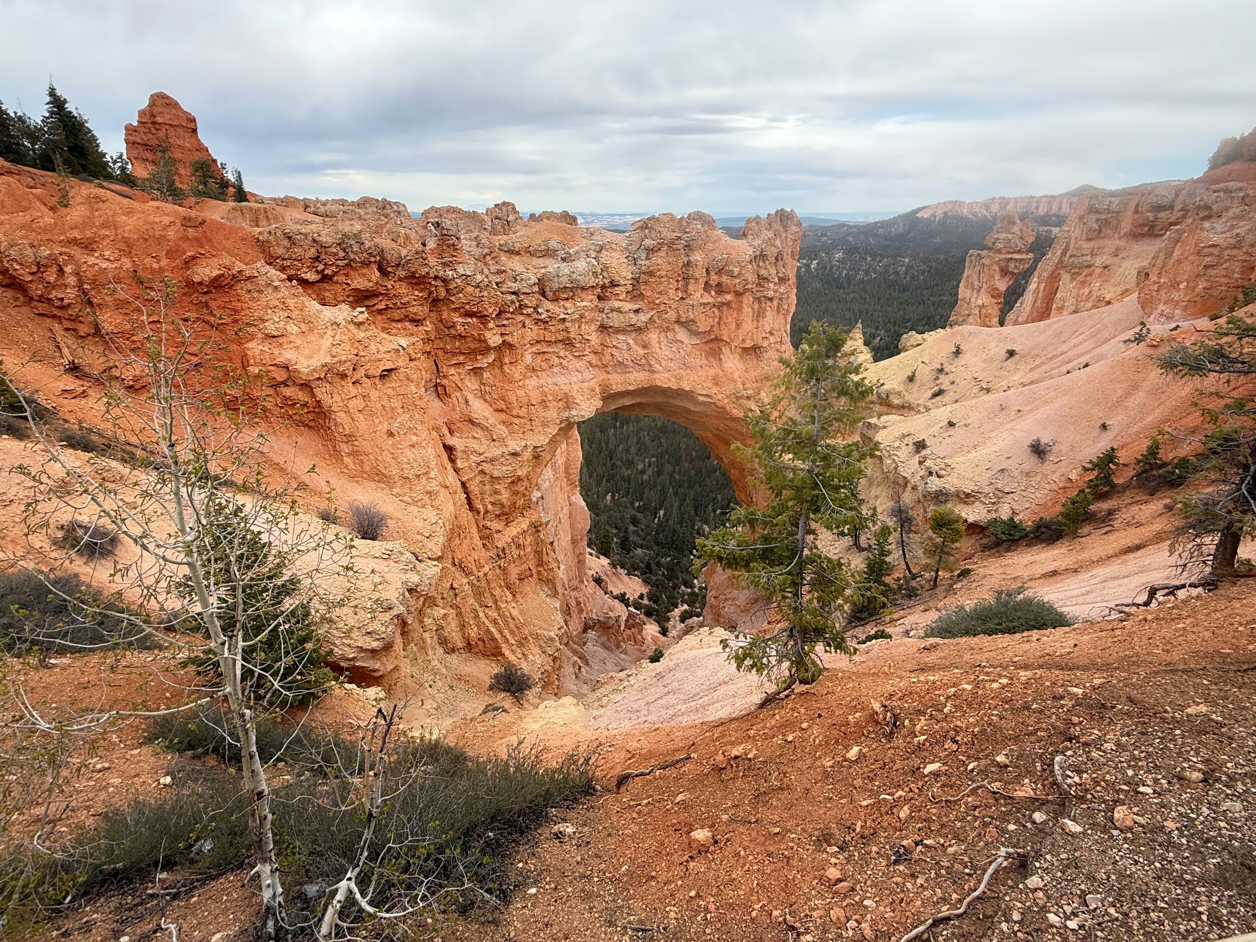 Stone Arch Echoes: A Canyon Portal Framed by Carved Red Cliffs
