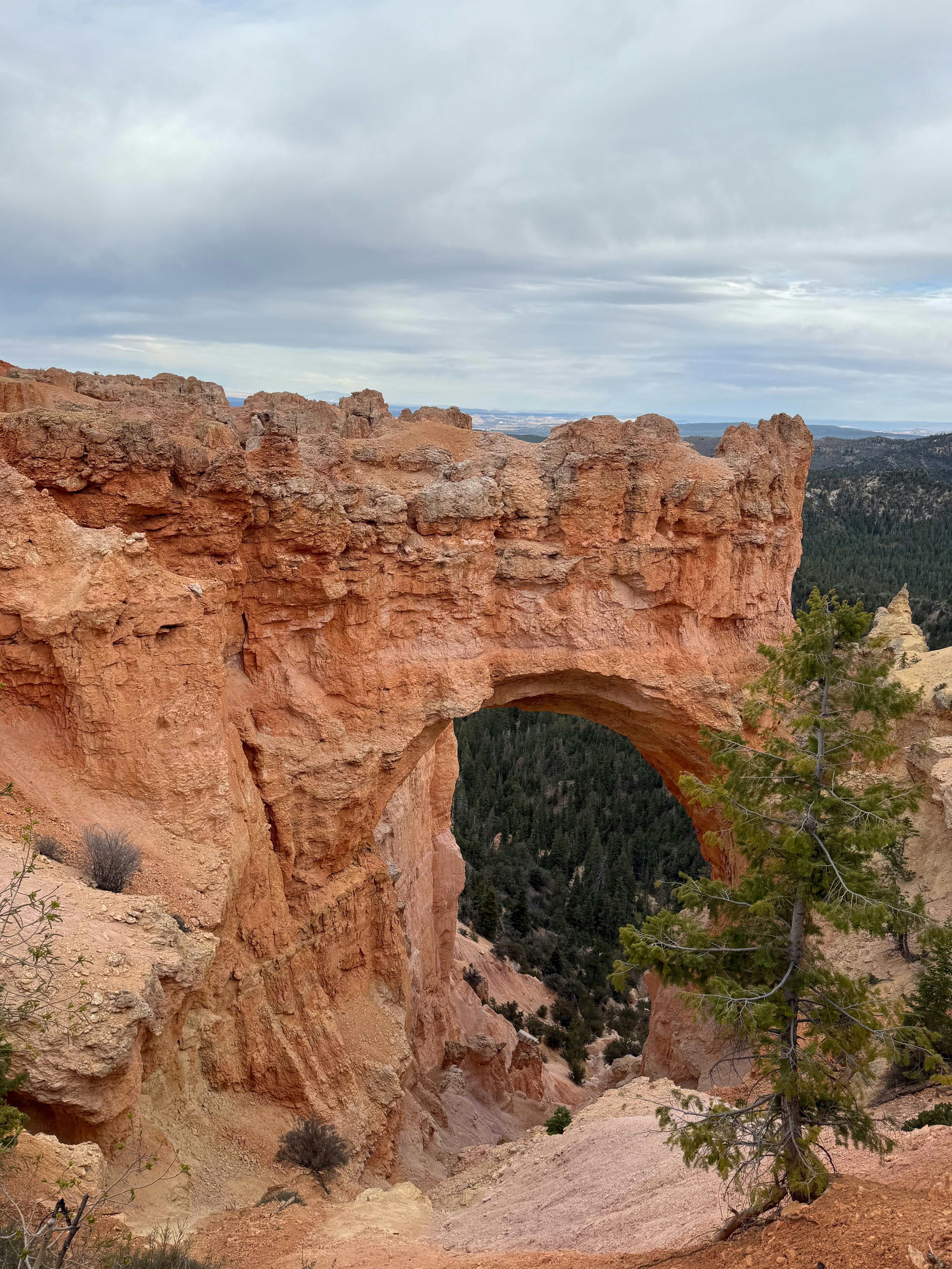 Stone Archway Overlooking Canyon Pines