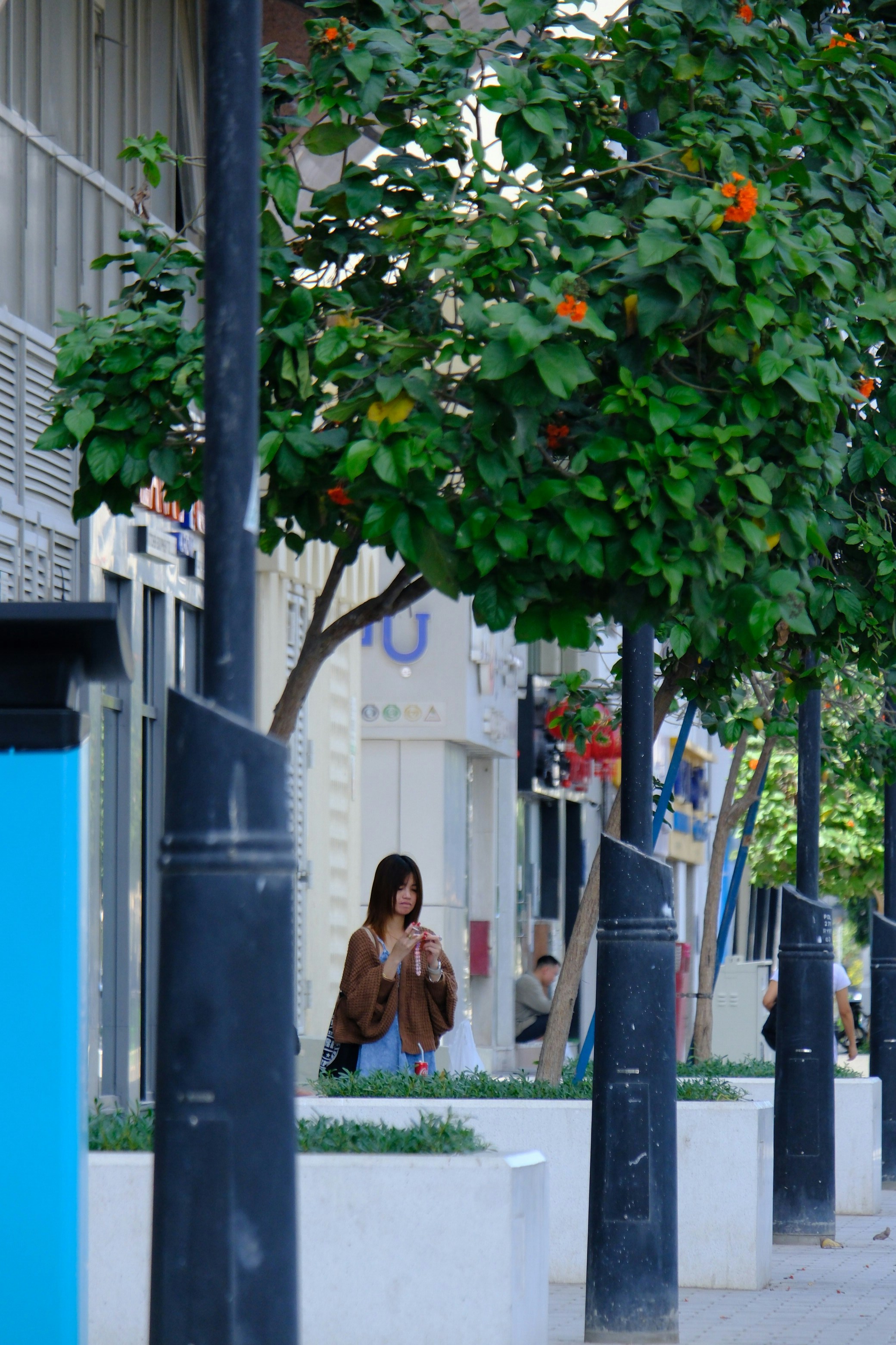 City Street Serenade: A Woman in Brown by the Botanic Corridor