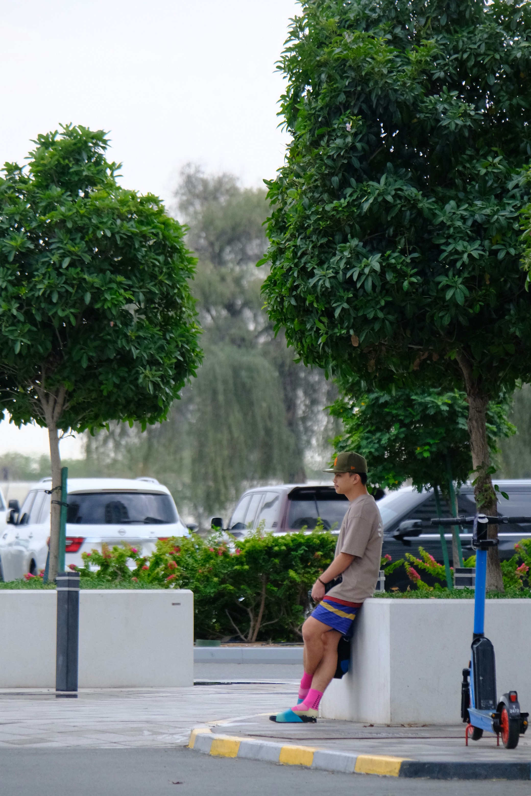 A Quiet Pause by the Curb