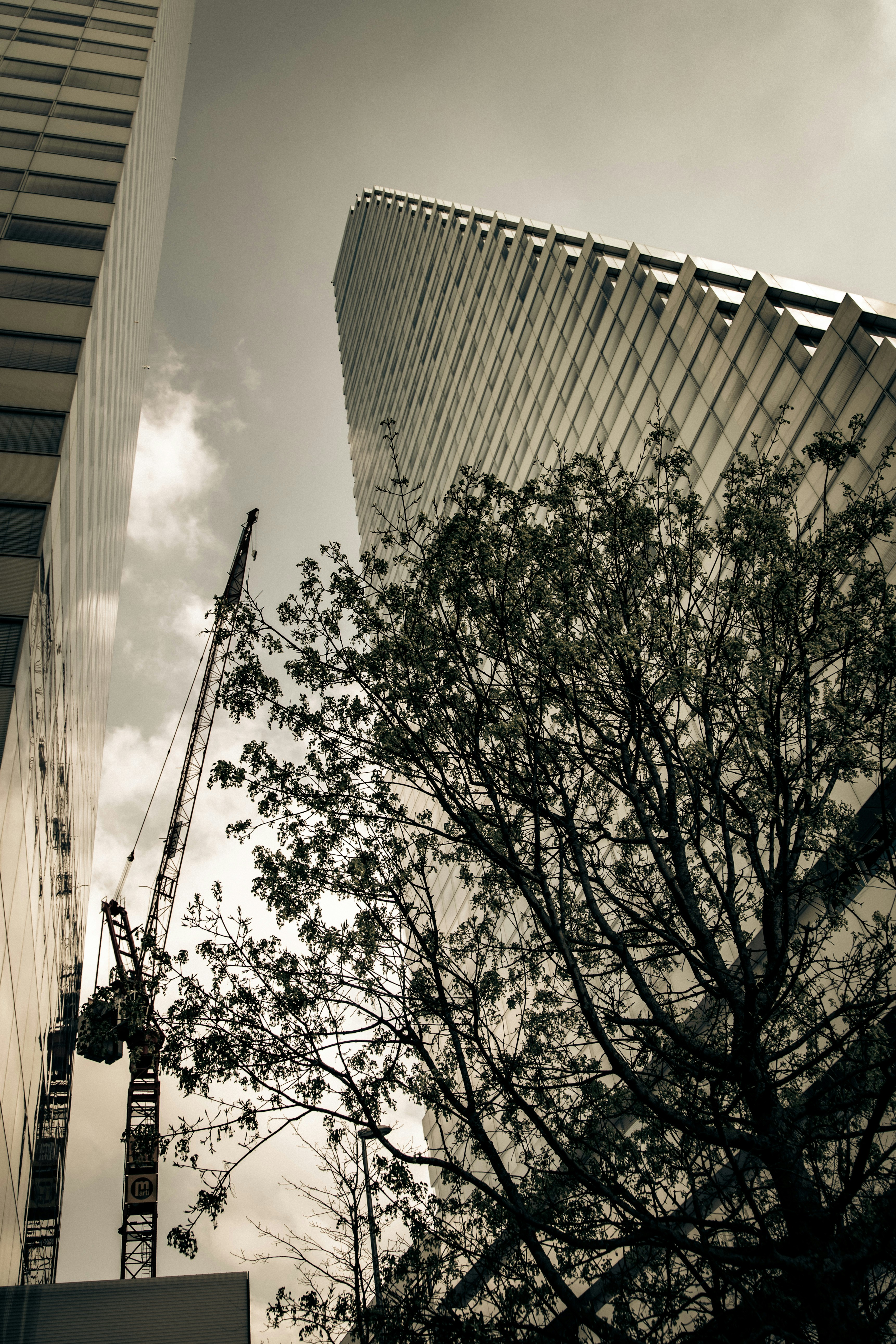 Crane and Glass: An Alley of Tall Angles