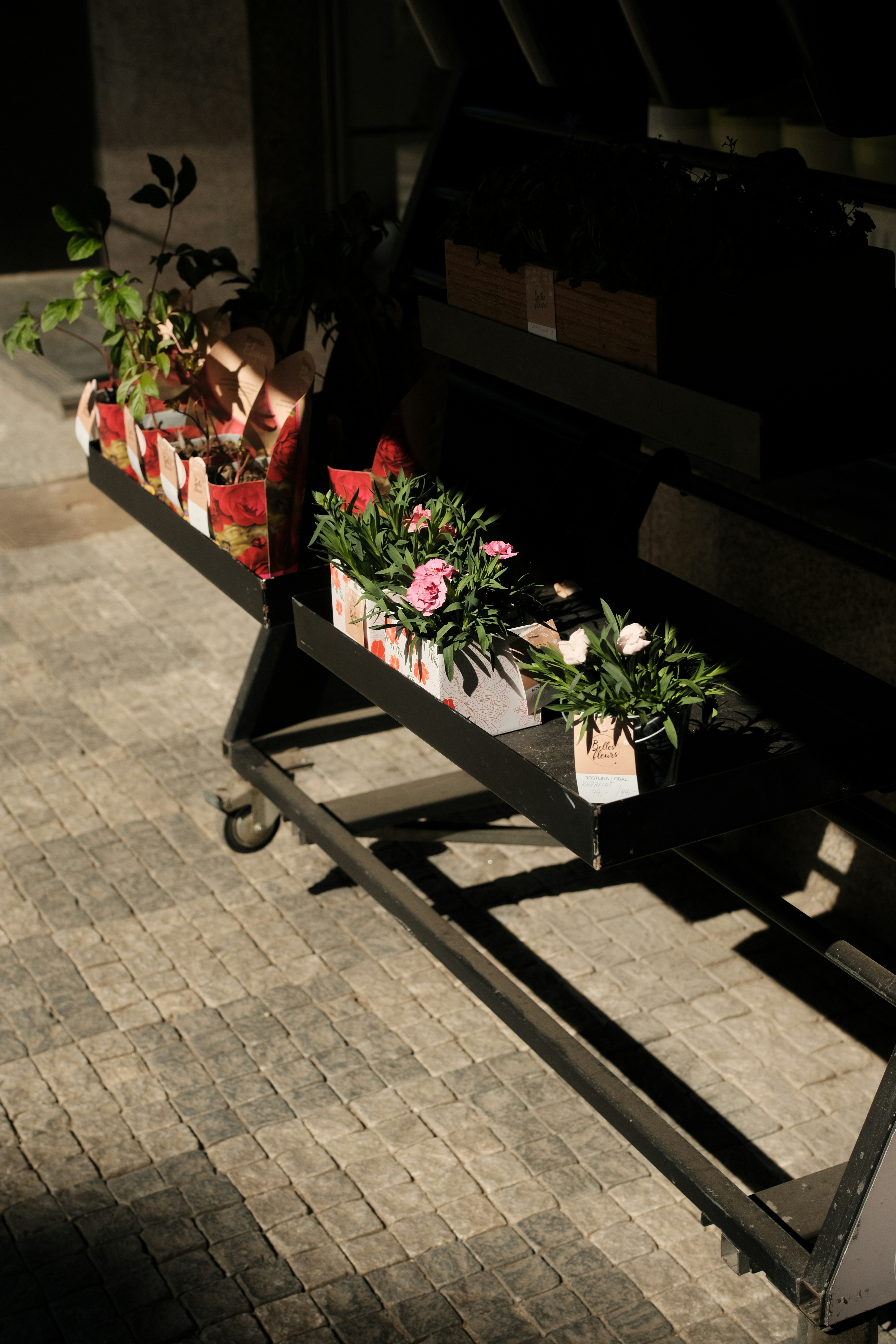 Moonlit Market Stands: Floral Arrangements Under Streetlight