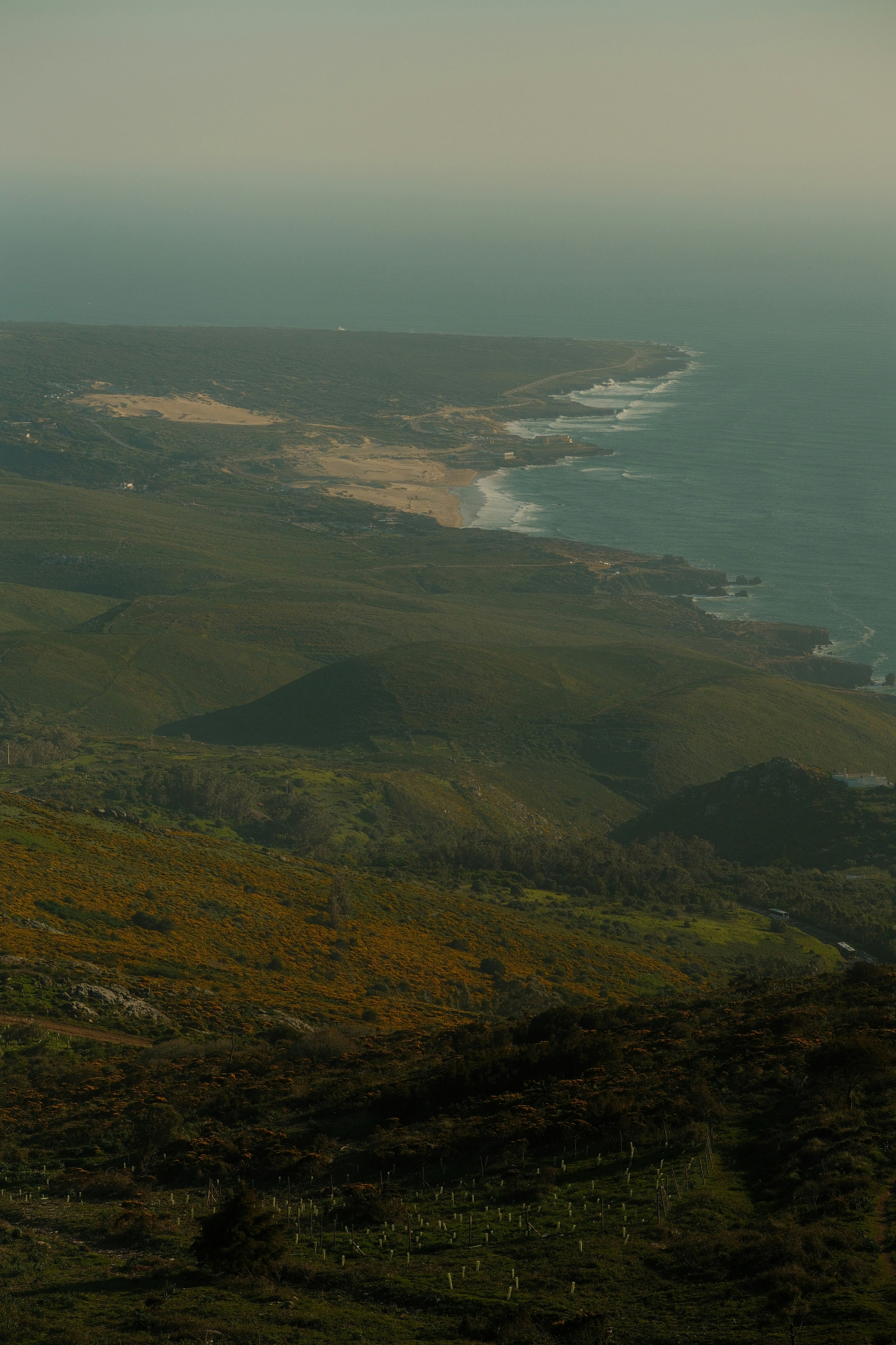Coastal Ridgework: Golden Hills Along the Quiet Sea