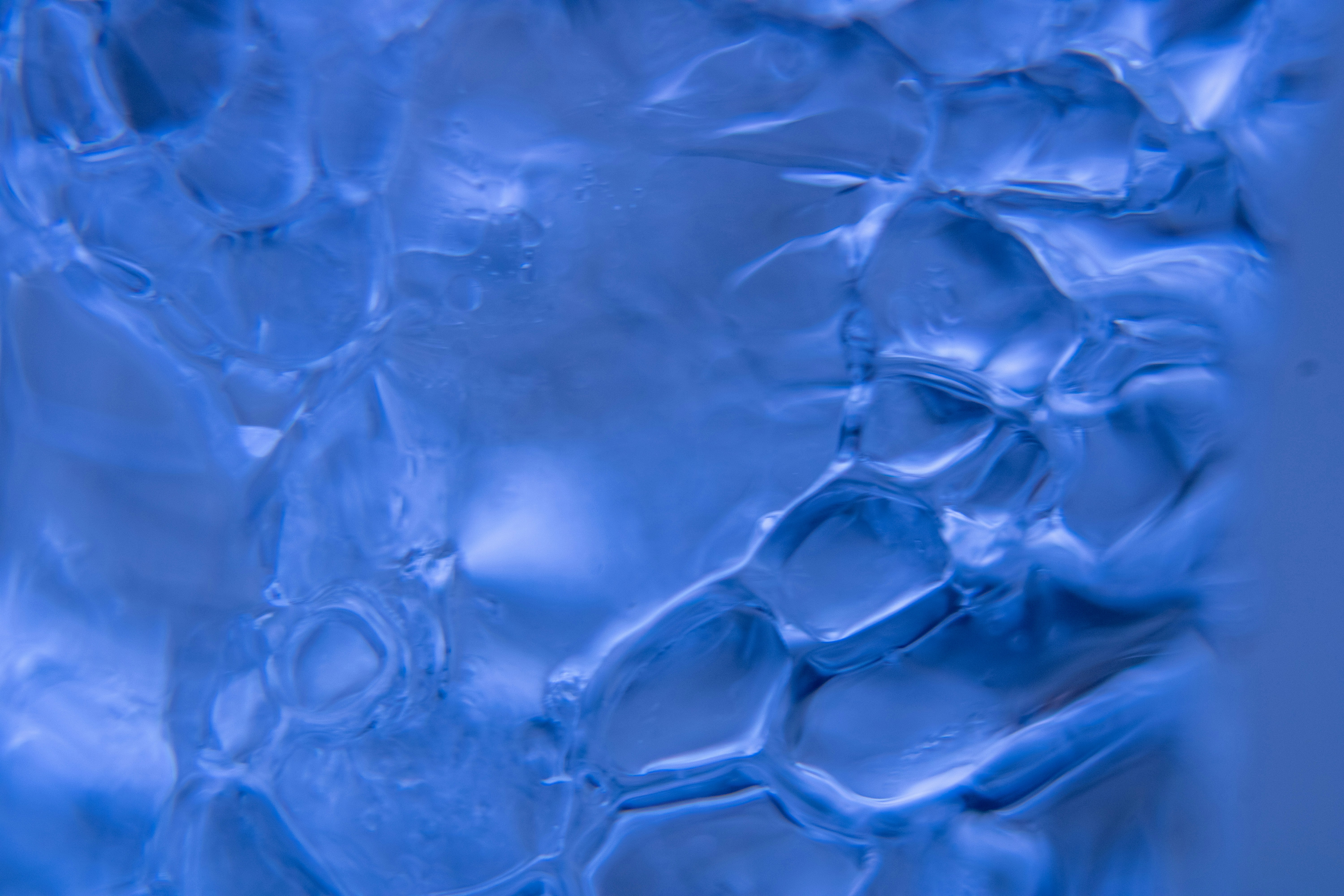 Winter Carapace: A Close-Up of Blue Ice Veins