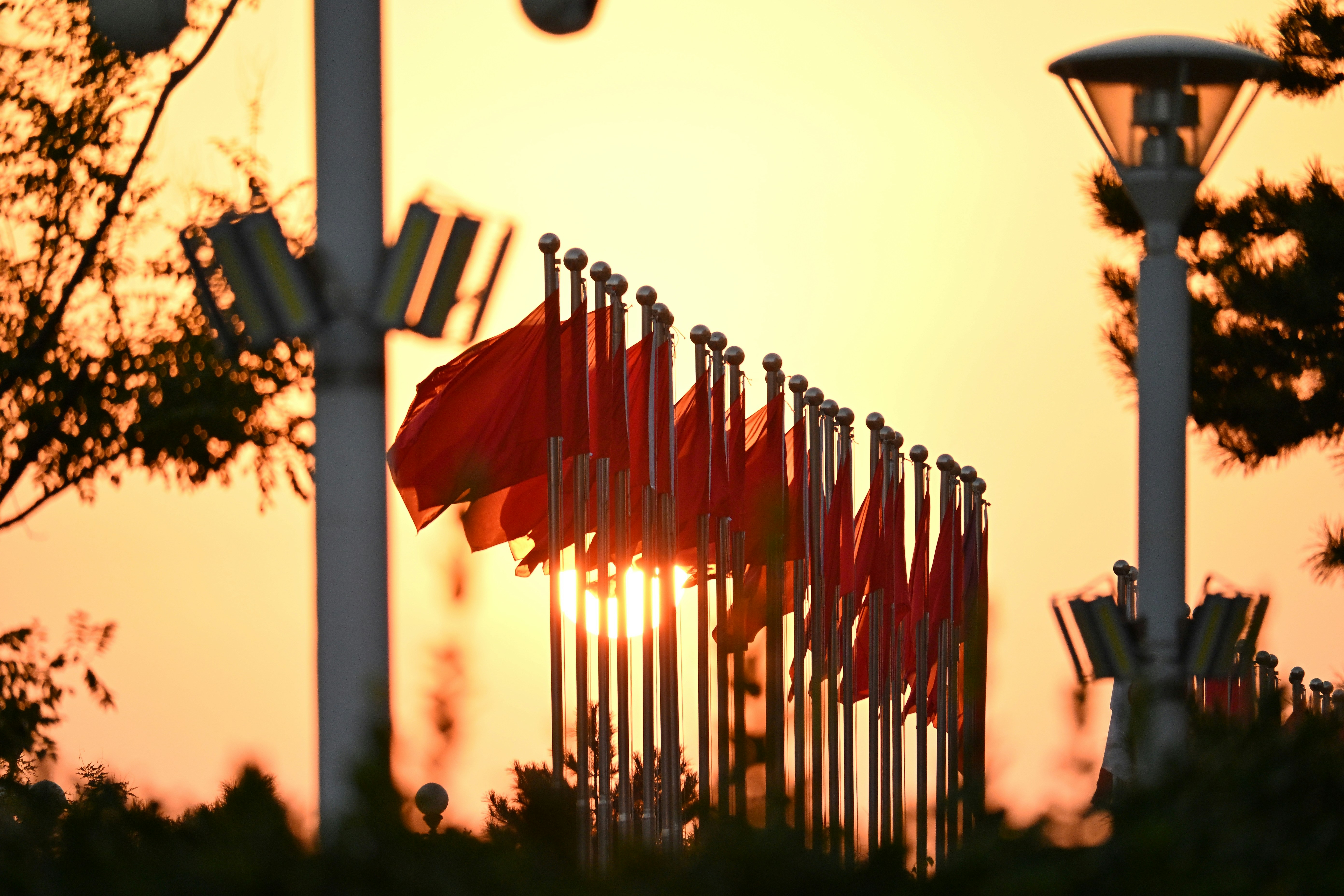 Sunlit Flag Ribbons: A Silhouette of Flags Against a Warm Dusk