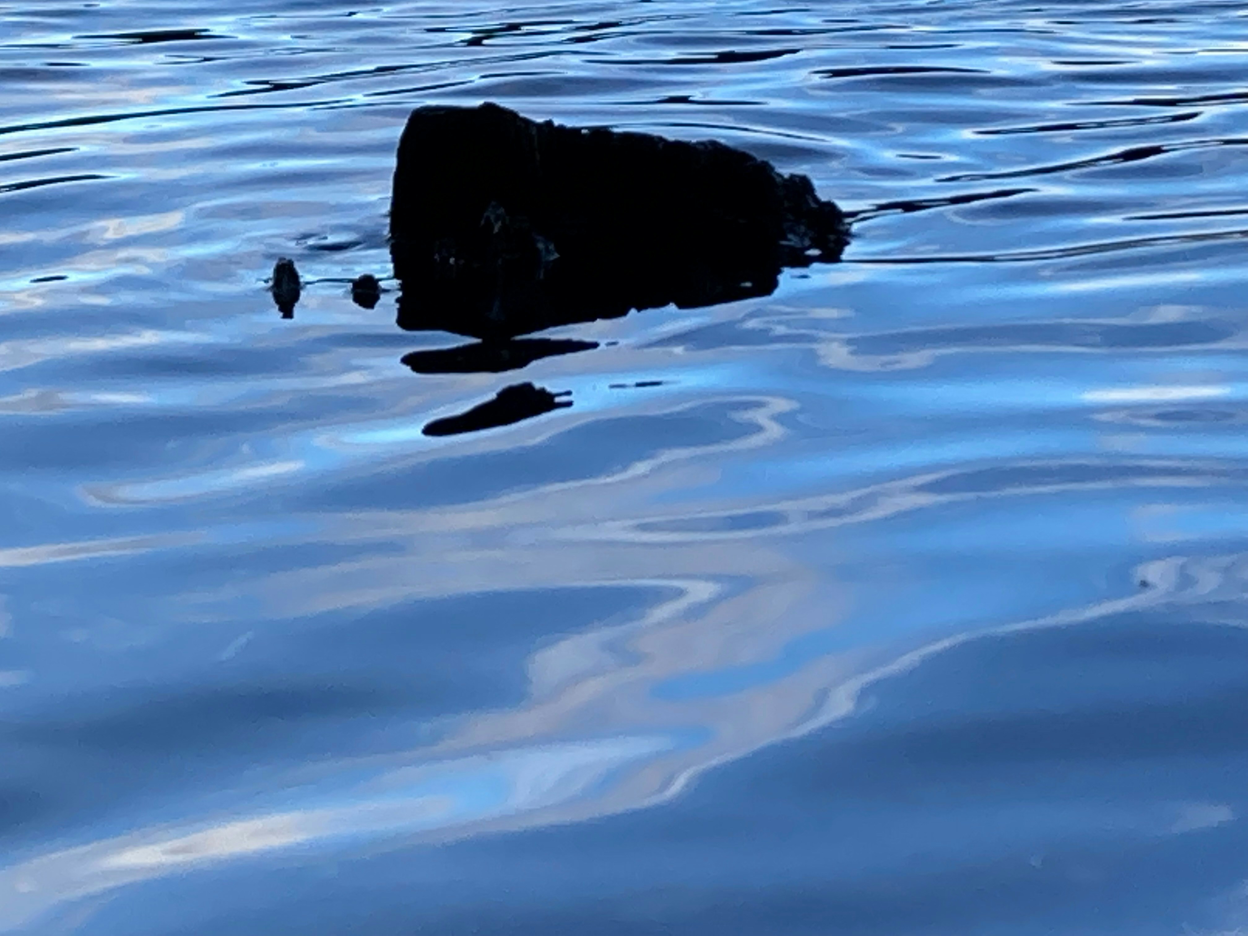 Mid‑Blue Rock: A Quiet Beacon on Wavelit Water