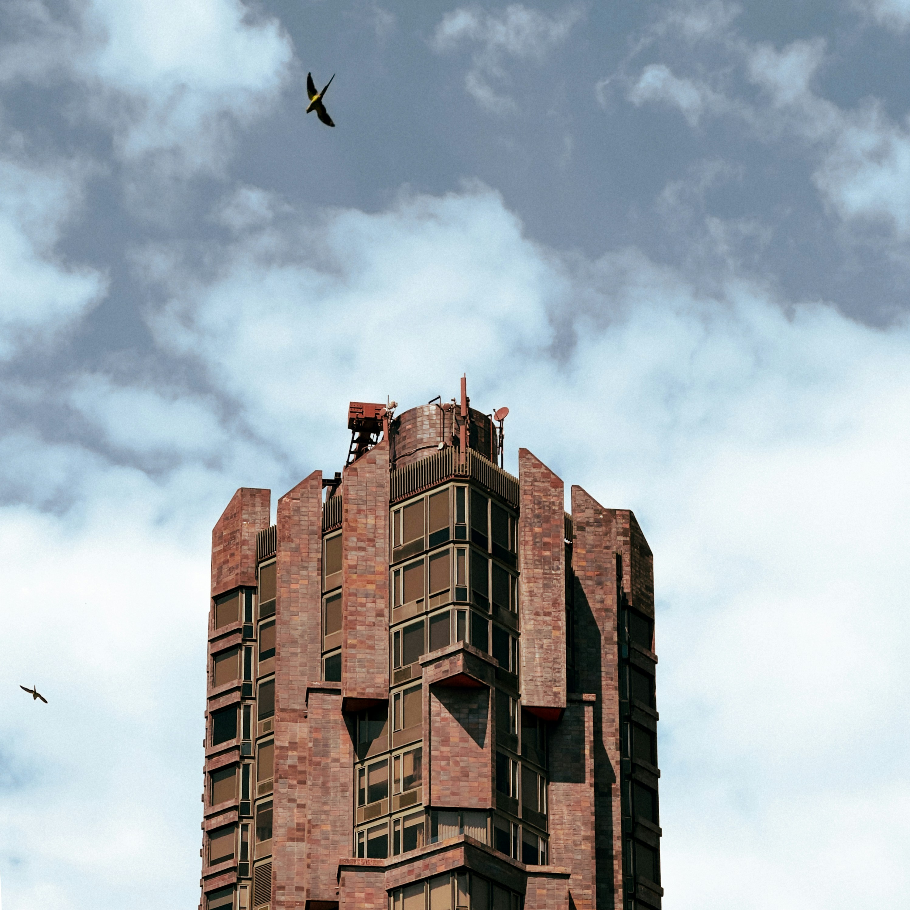 Brick-tower silhouette against a blue sky with roaming birds