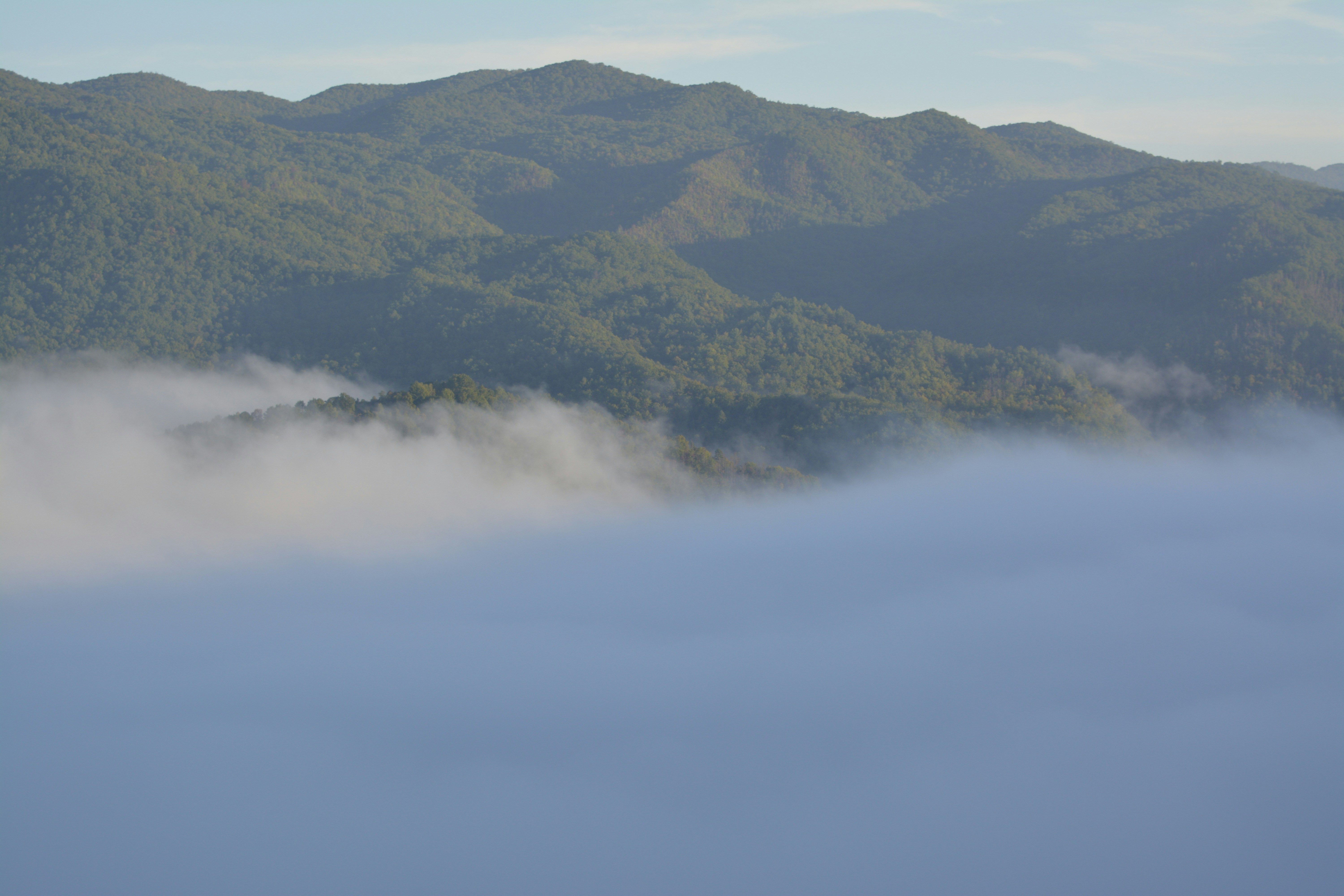Mist-Laced Ridge: Dawn over a Quiet Mountain Chorus