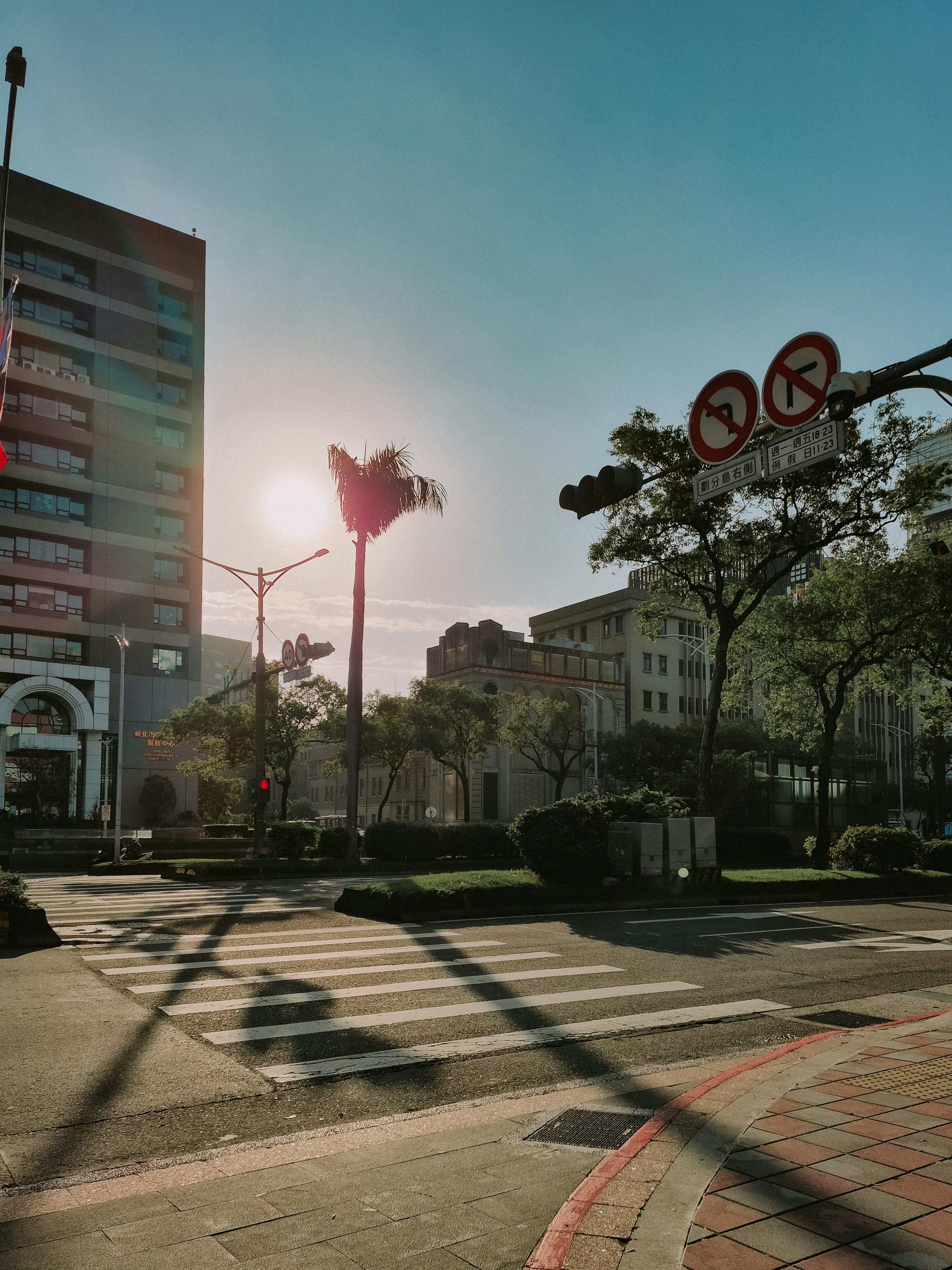 Sunlit Crossing: Palm Shadowed Boulevard at Dawn