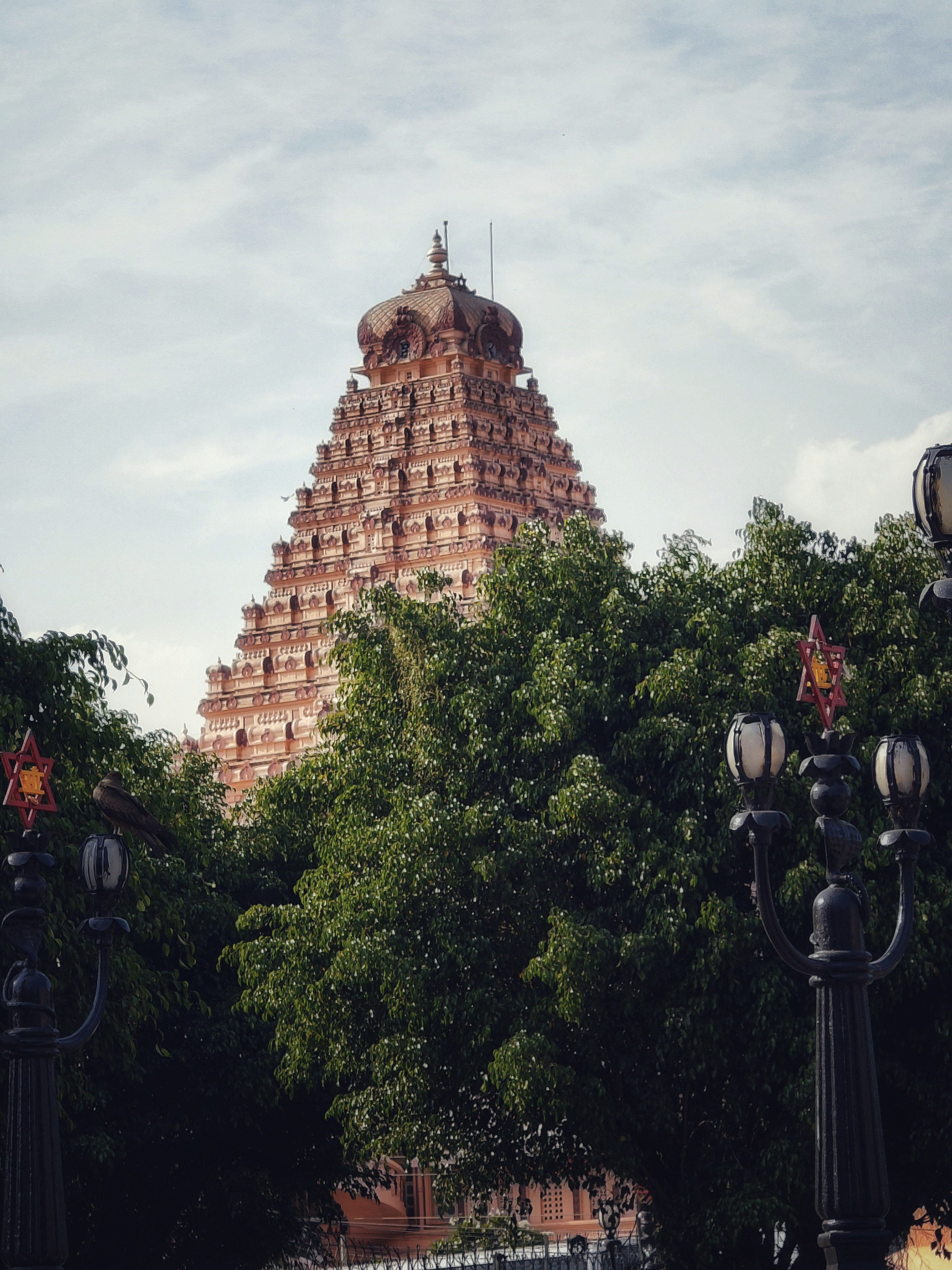 Rising Temple through a Walled Gateway of Trees