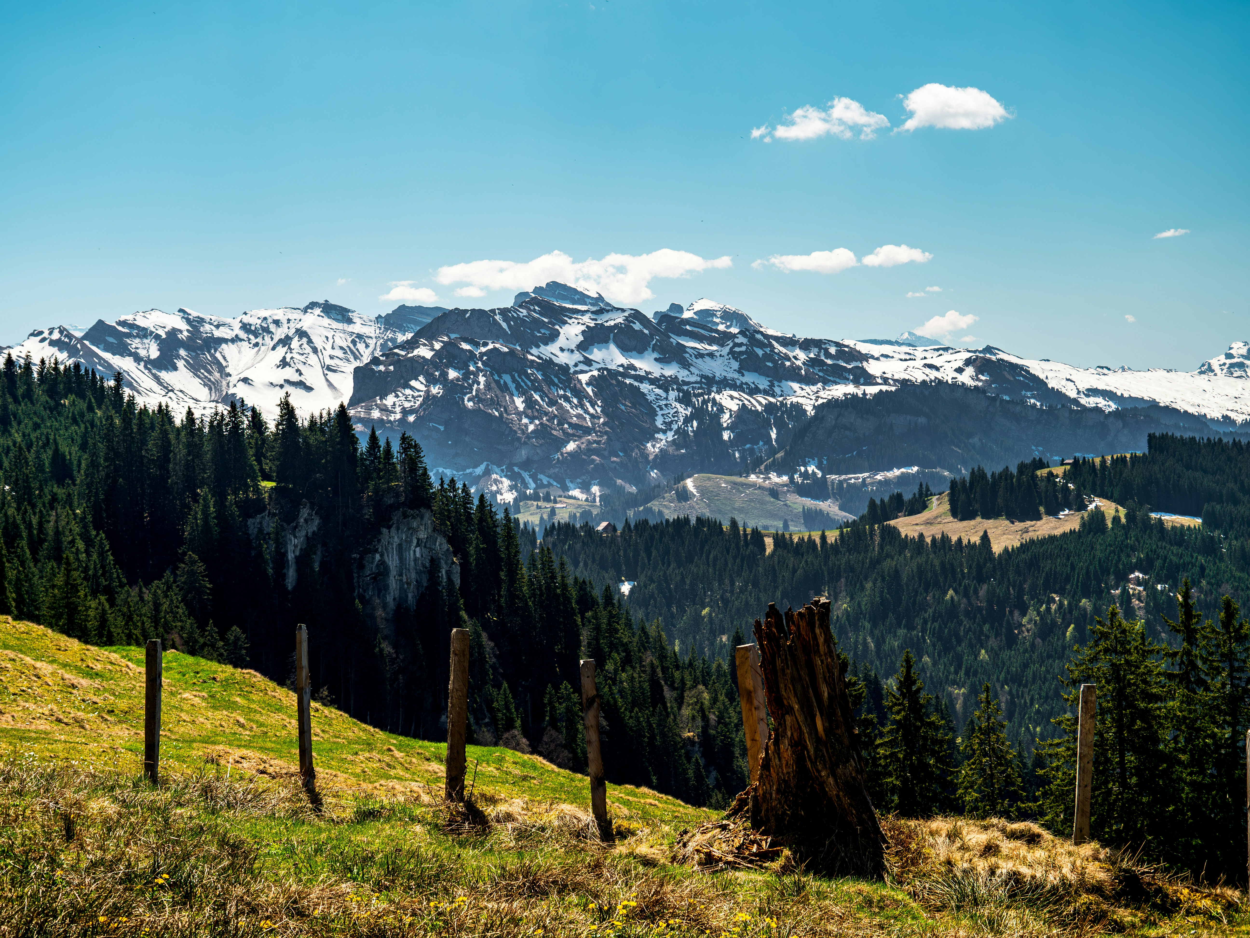 Snow-Capped Peaks Over a Weathered hillside Fence
