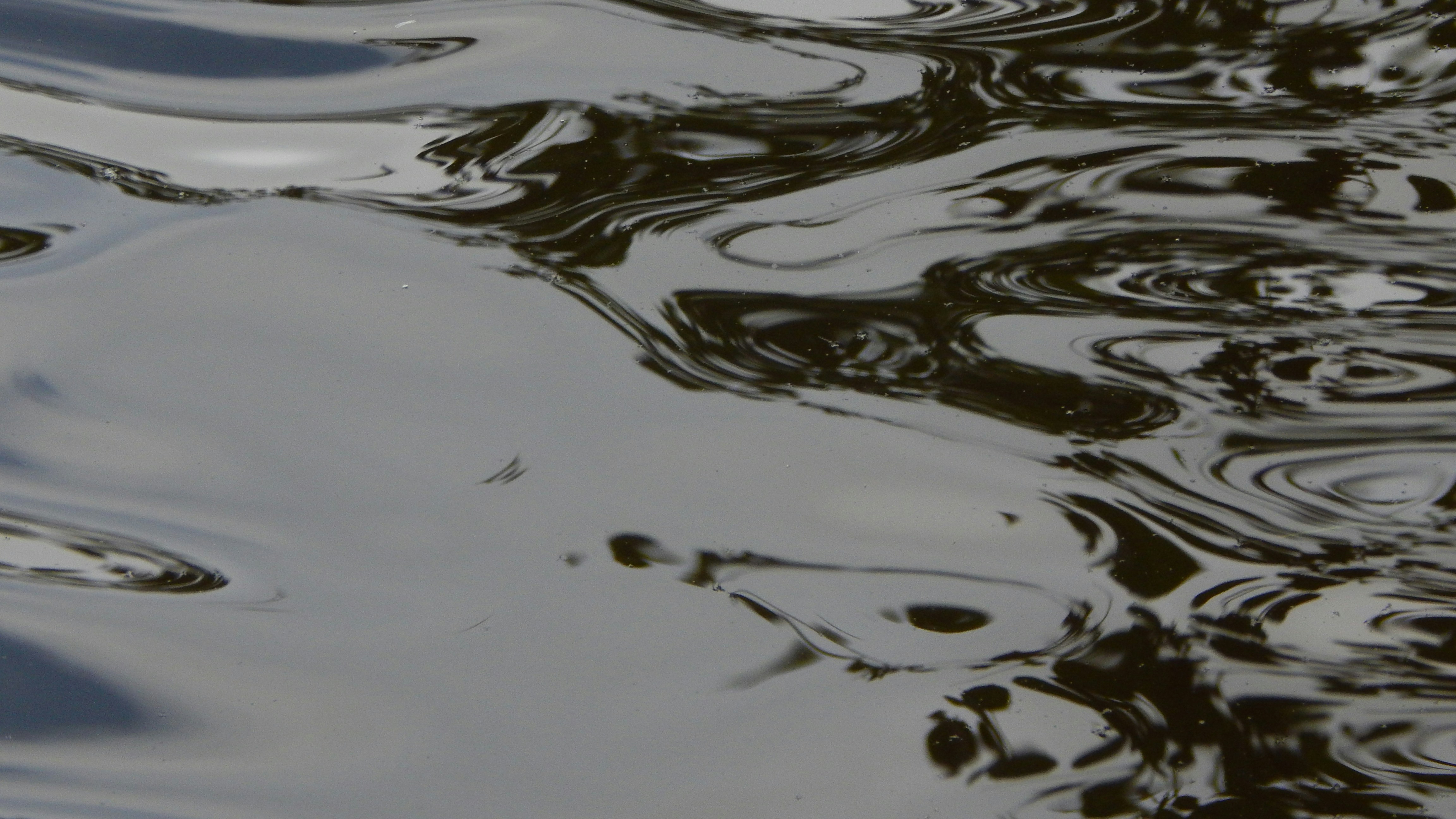 Ripples and Reflections on a Quiet Water Surface
