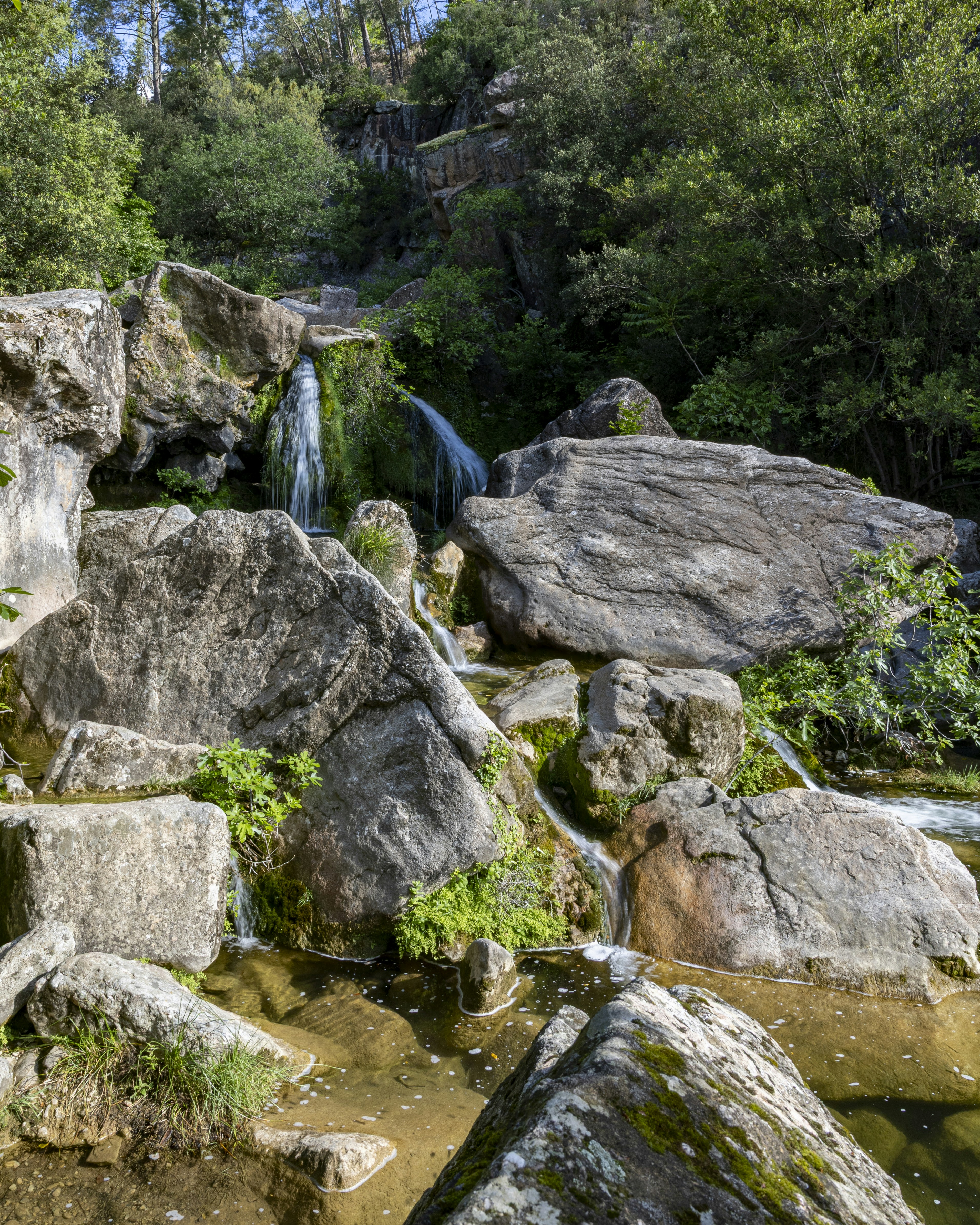 Waterfall Mosaic: Mossy Rocks and Quiet Pools