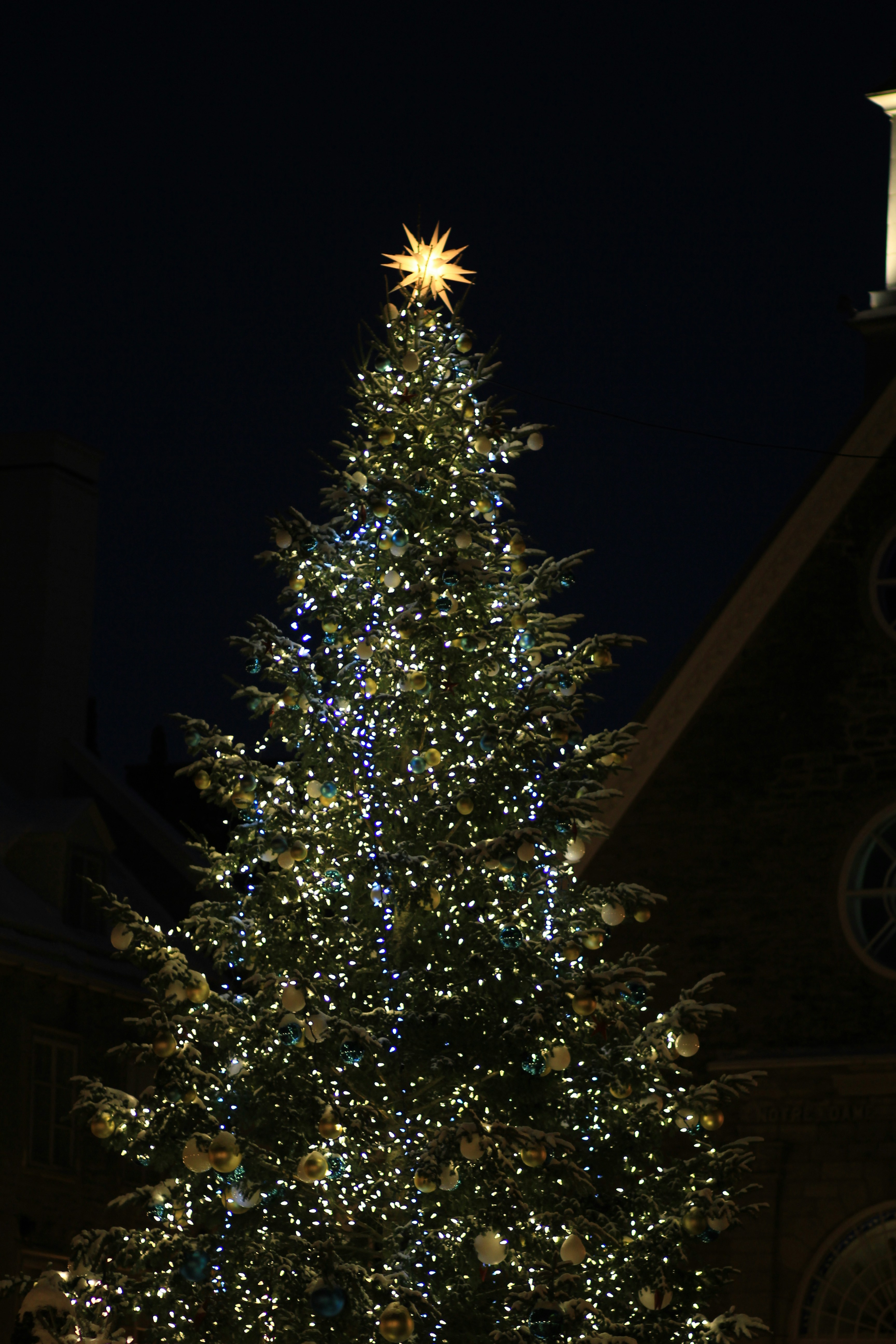 Star atop the festive fir: a quiet Christmas night scene