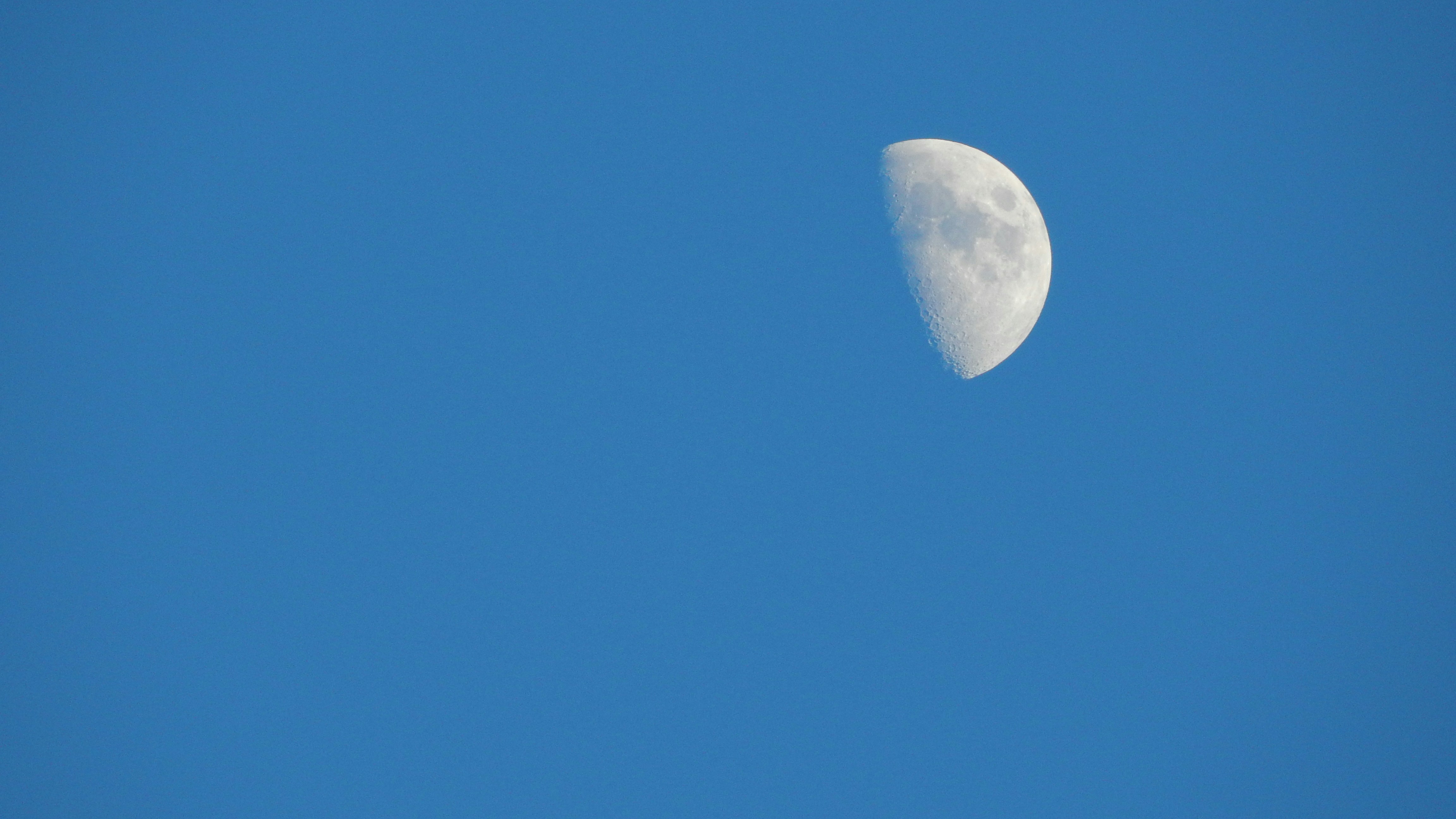 Crescent Moon in Blue Silence
