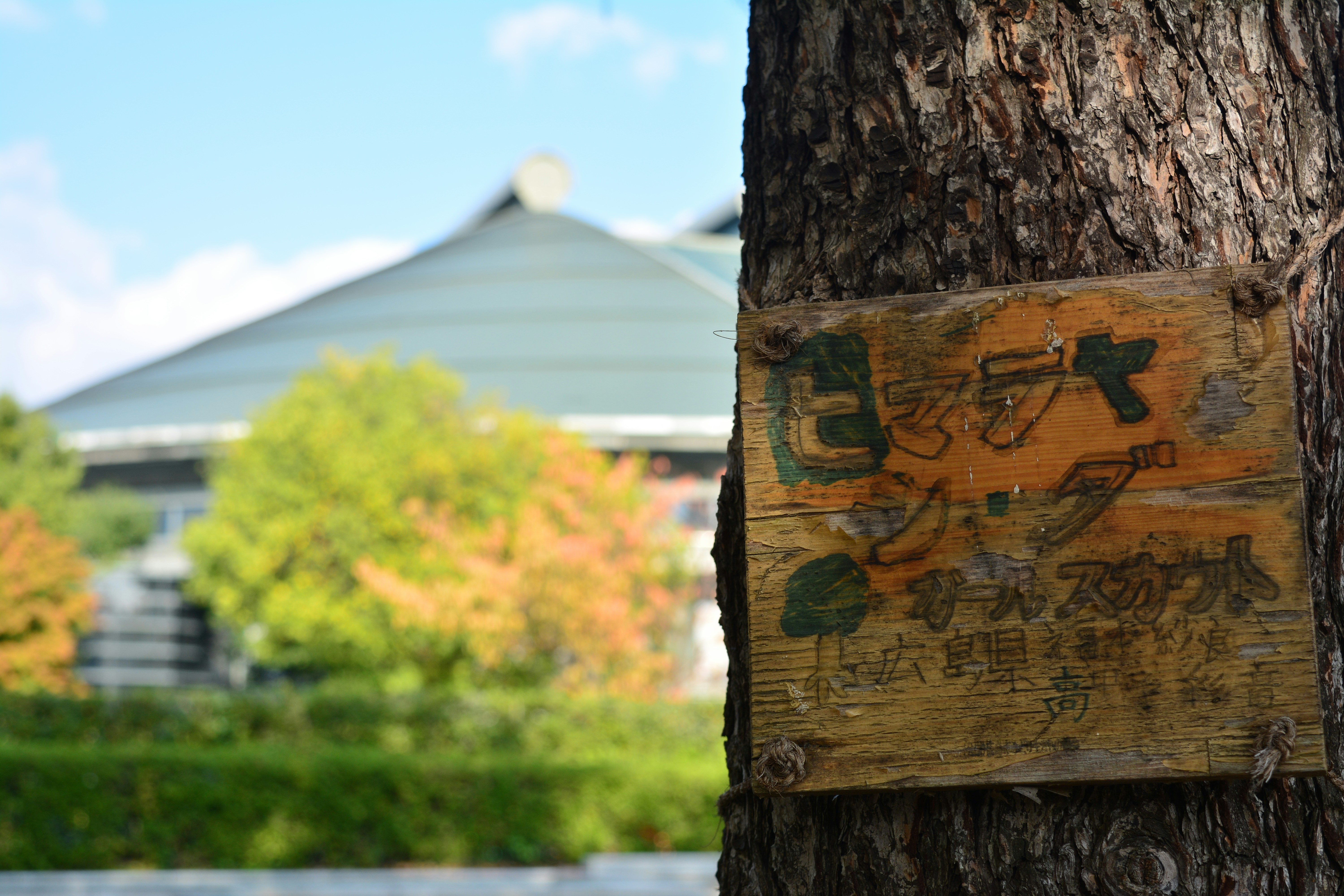 Carved Sign on Trunk with Distant Courtyard Vista