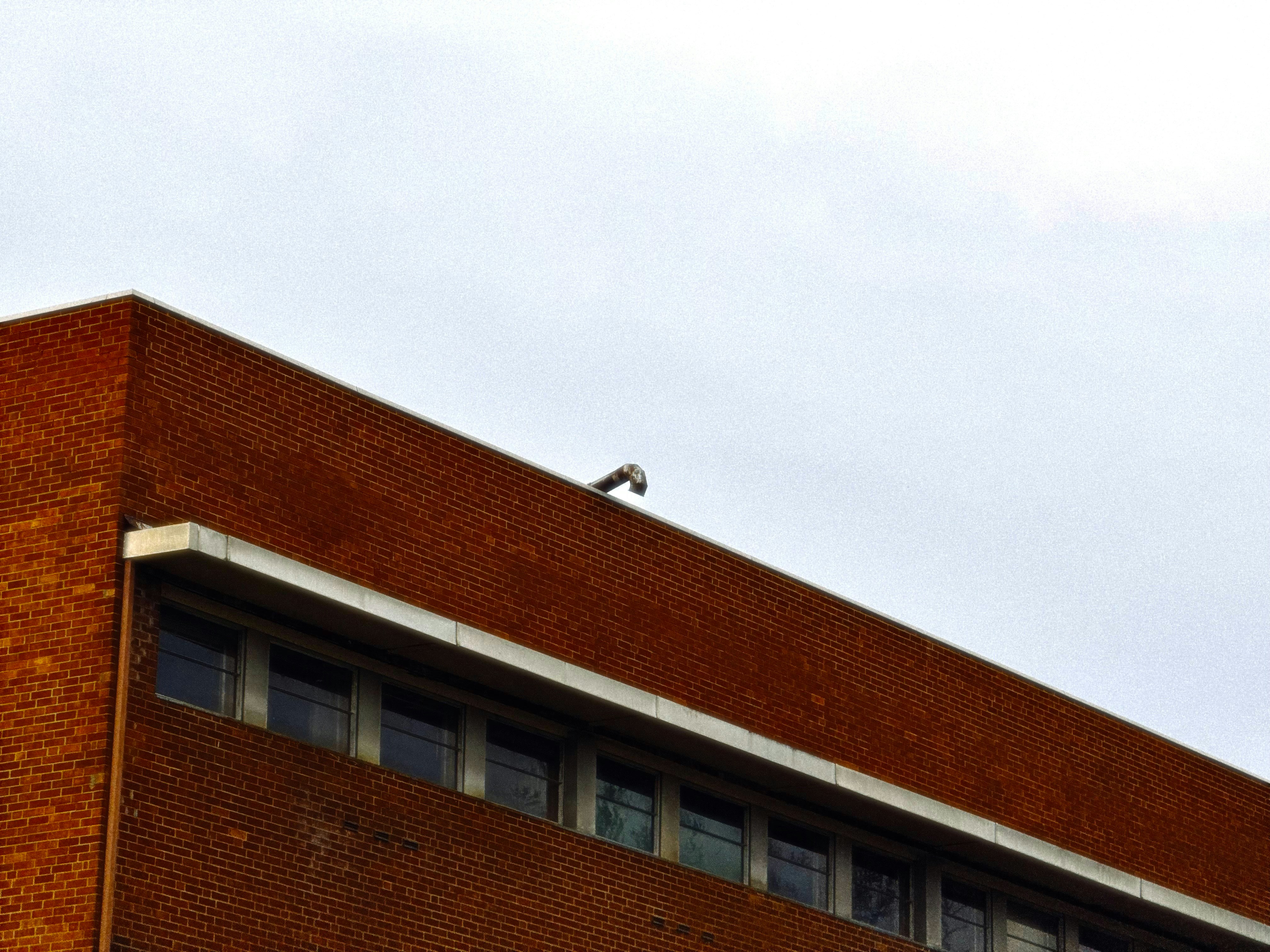 Roofline Sentinel: A Single Rooftop Figure on a Brick Warehouse