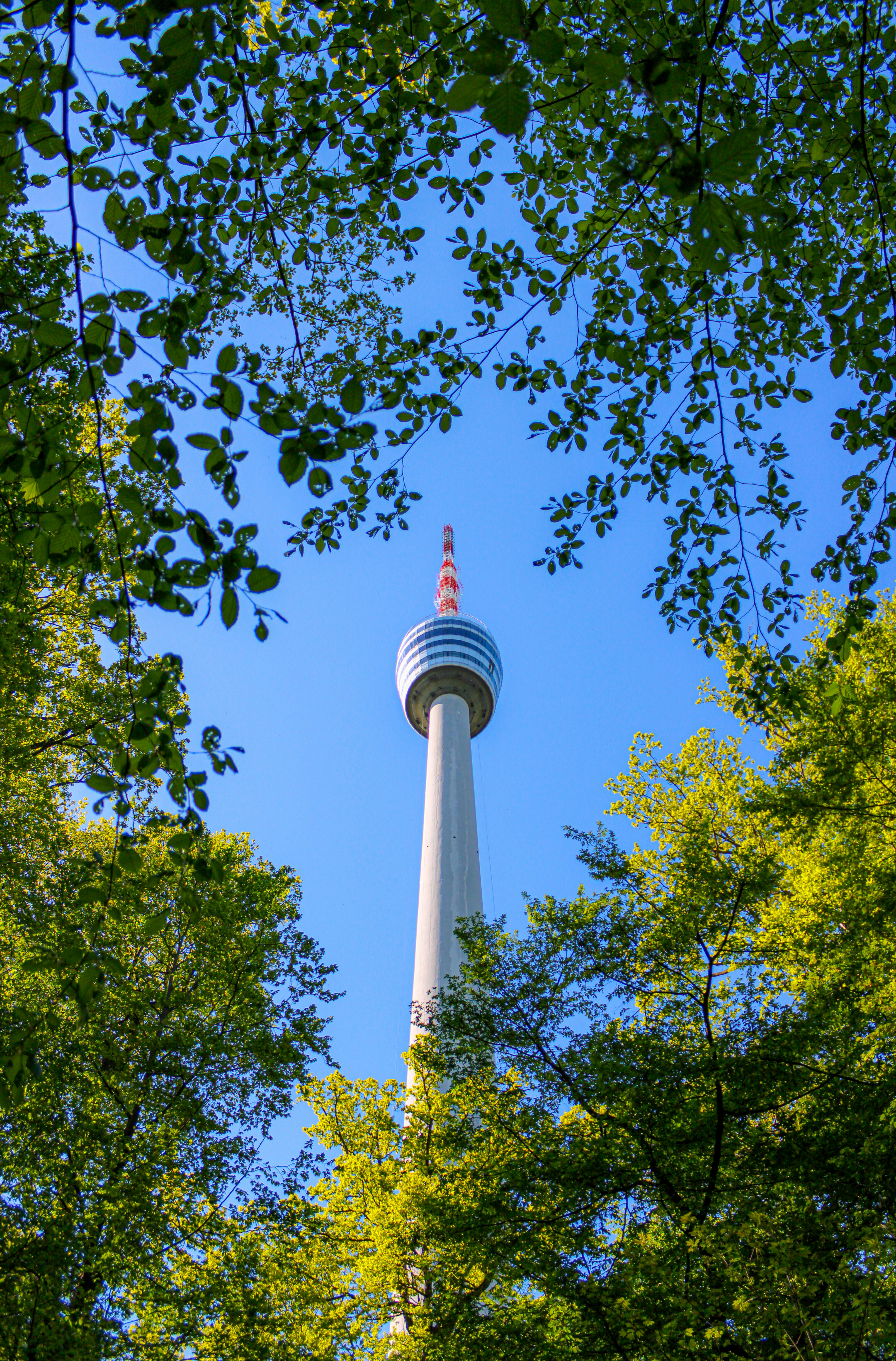 Skyward Needle: Tower Piercing the Canopy