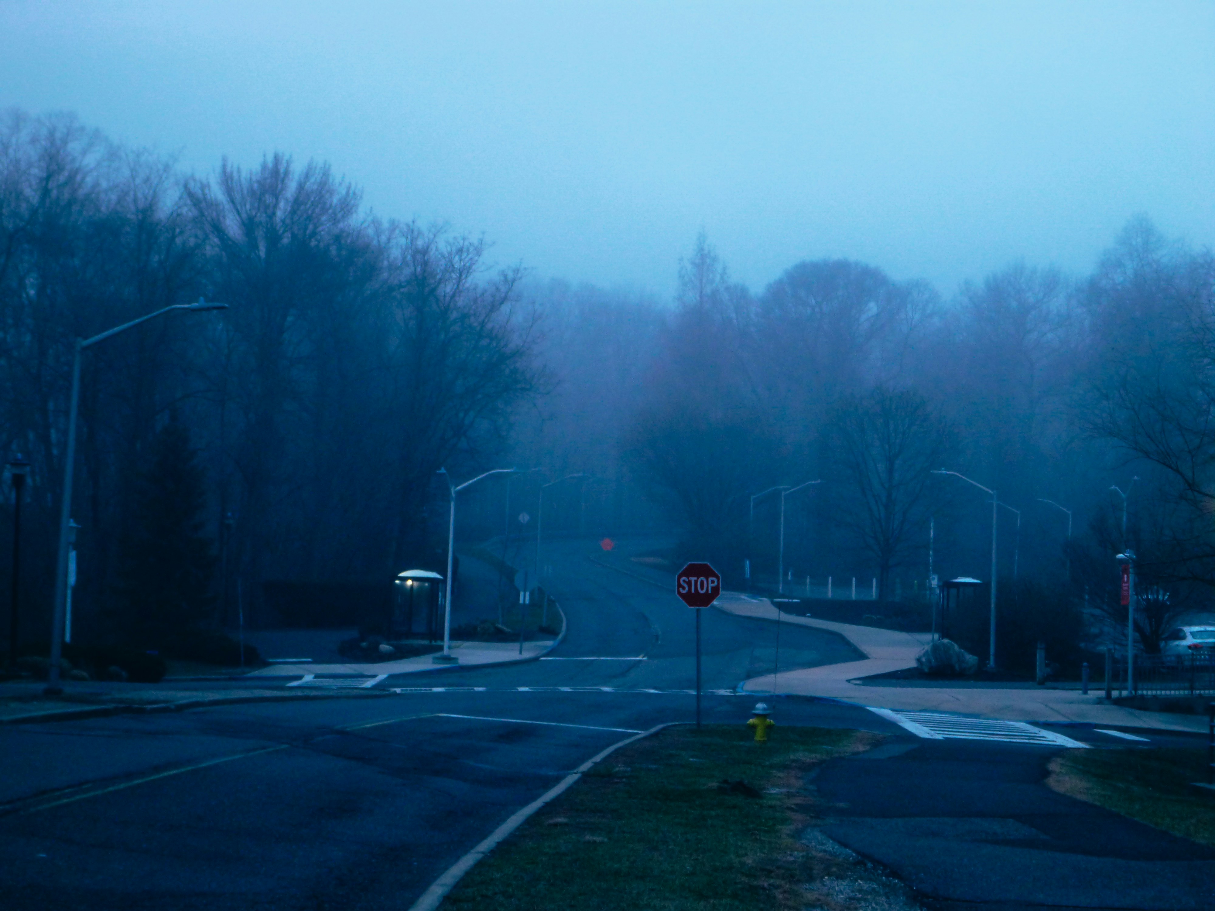 Quiet Dawn on a Suburban Street Shrouded in Mist