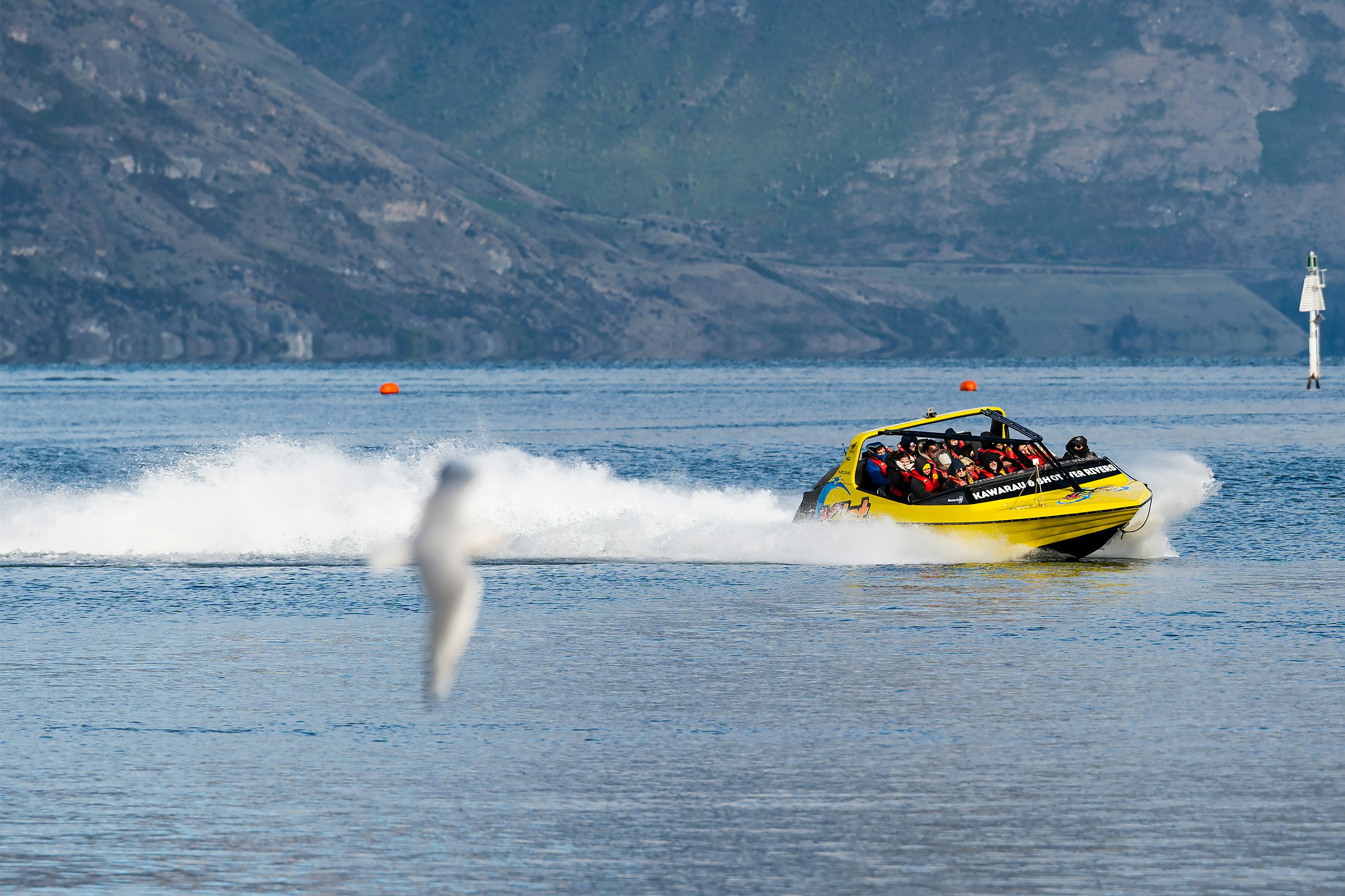 Yellow RIB at speed: gulls and wake blur against a fjord backdrop