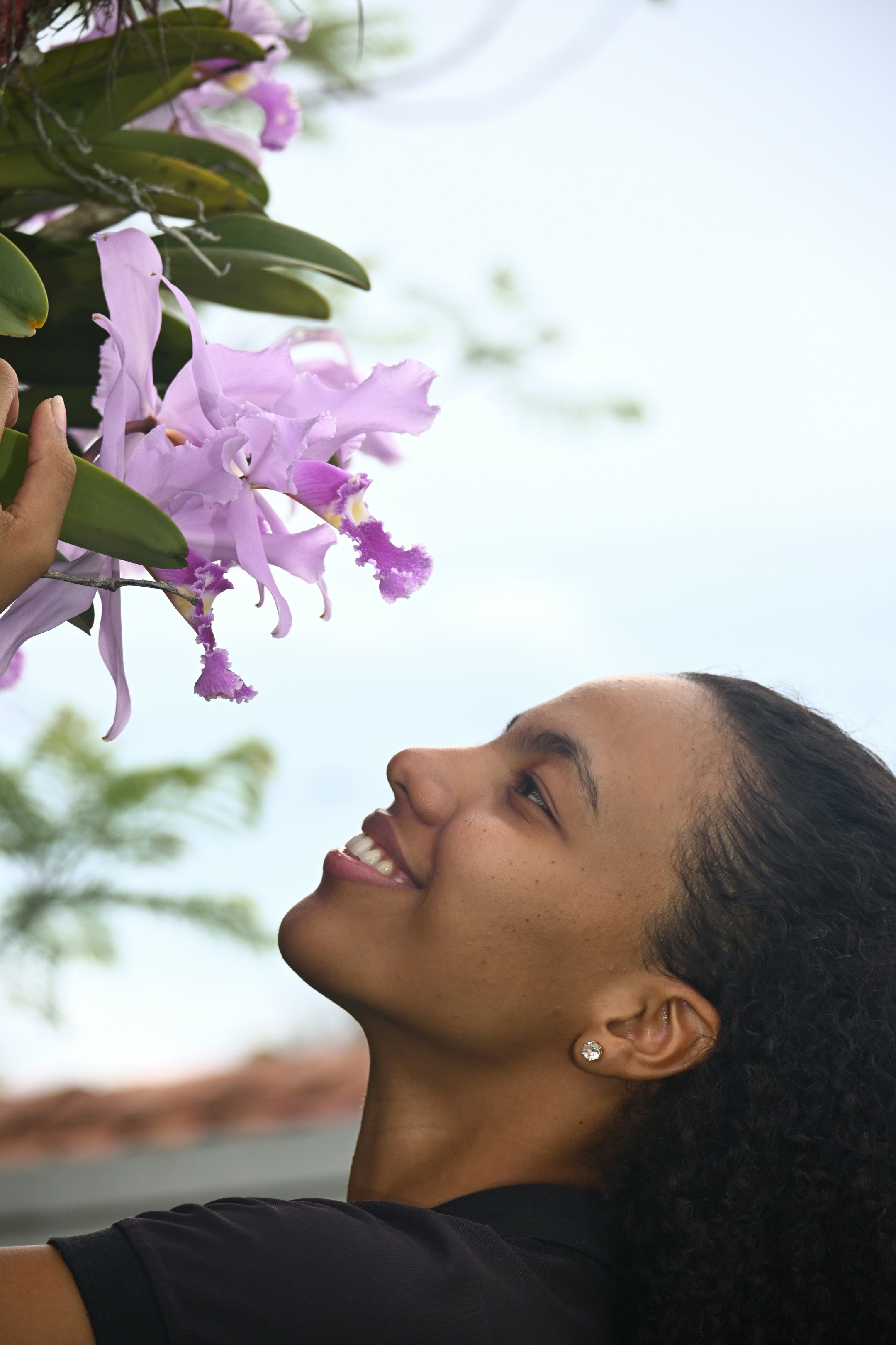 A Quiet Moment with Orchid Fragrance
