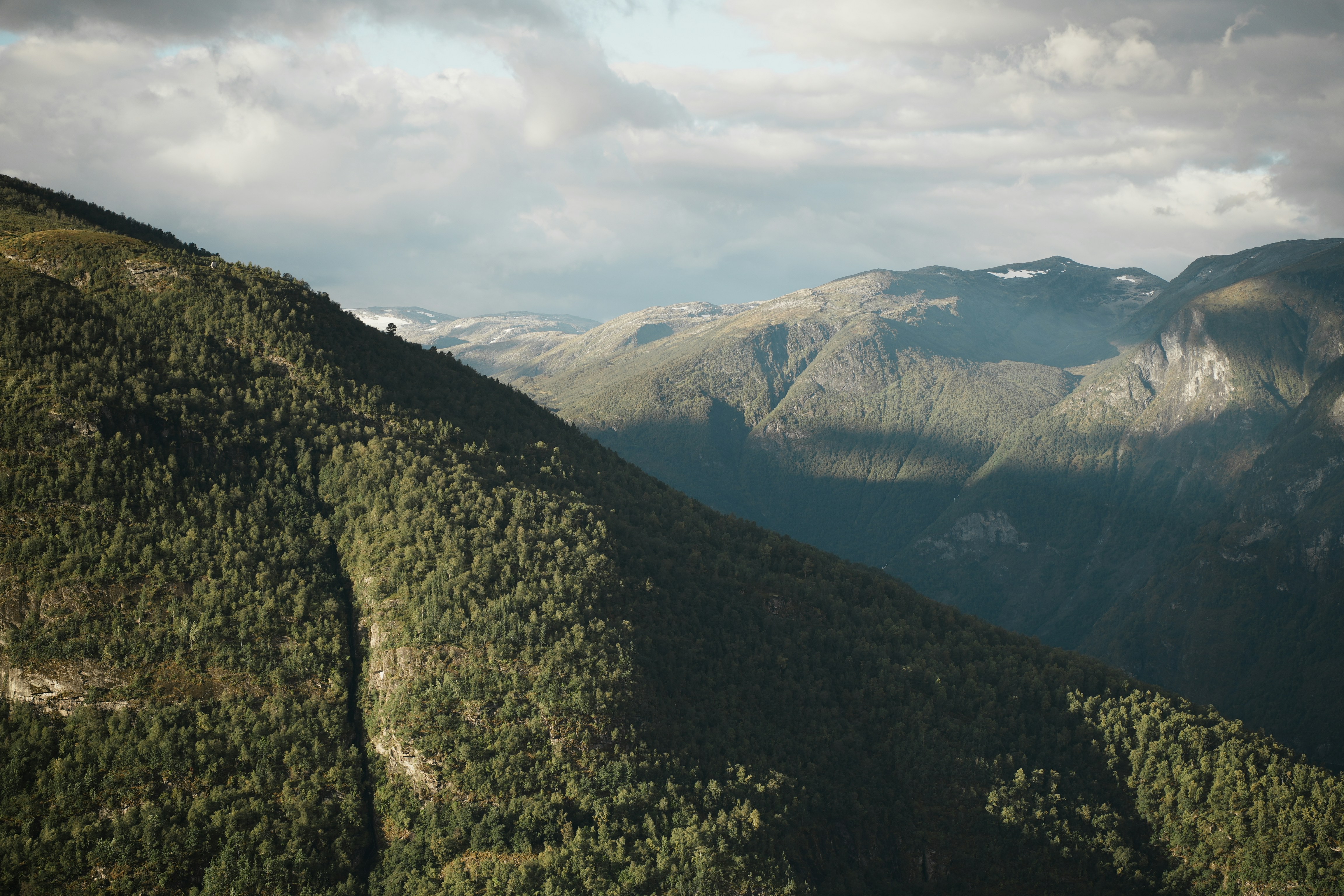 Valley Crest: Distant Light Over the Forested Spine