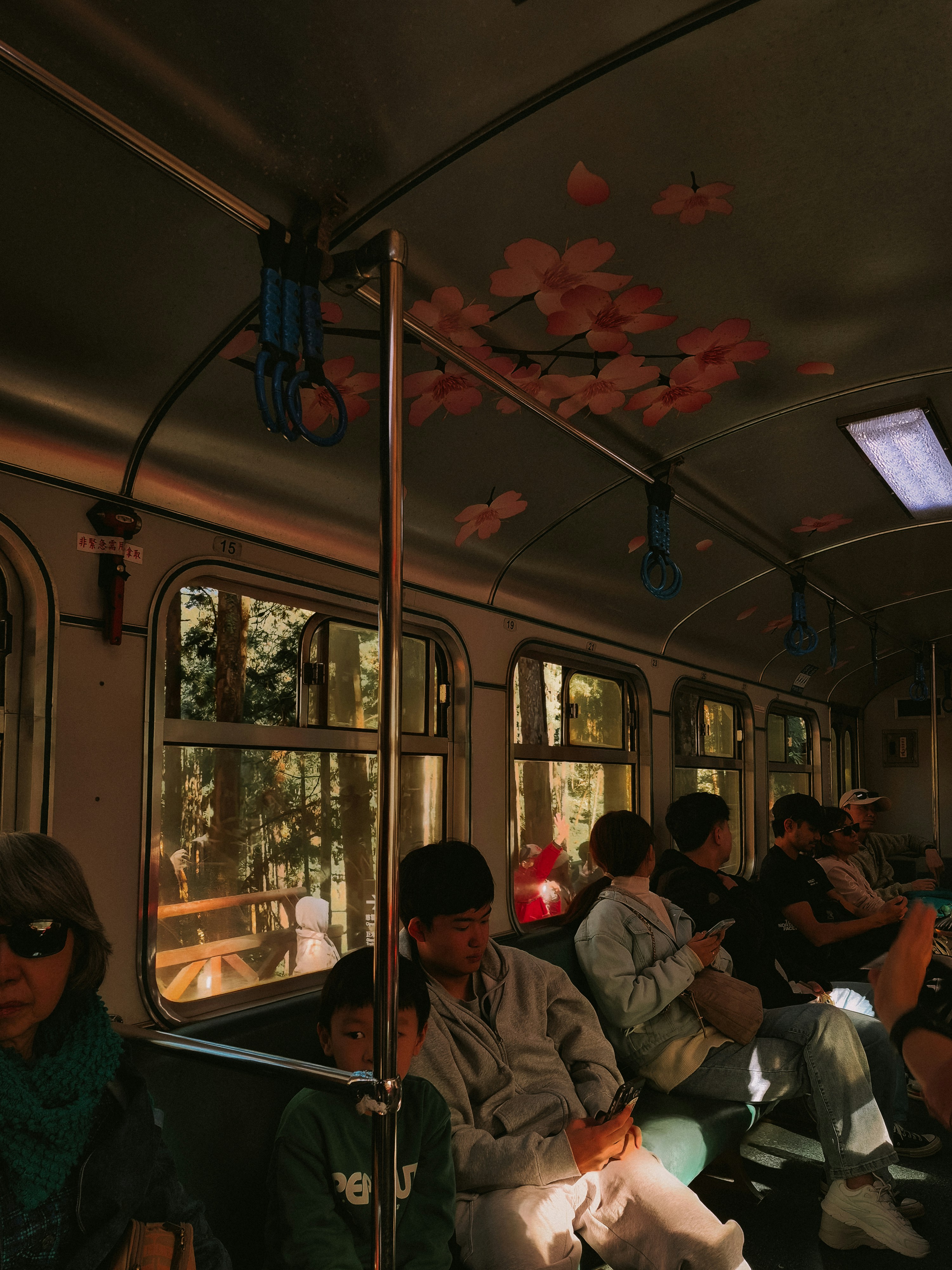 Sunlit Commuters: Quiet Focus on the Bus Ride