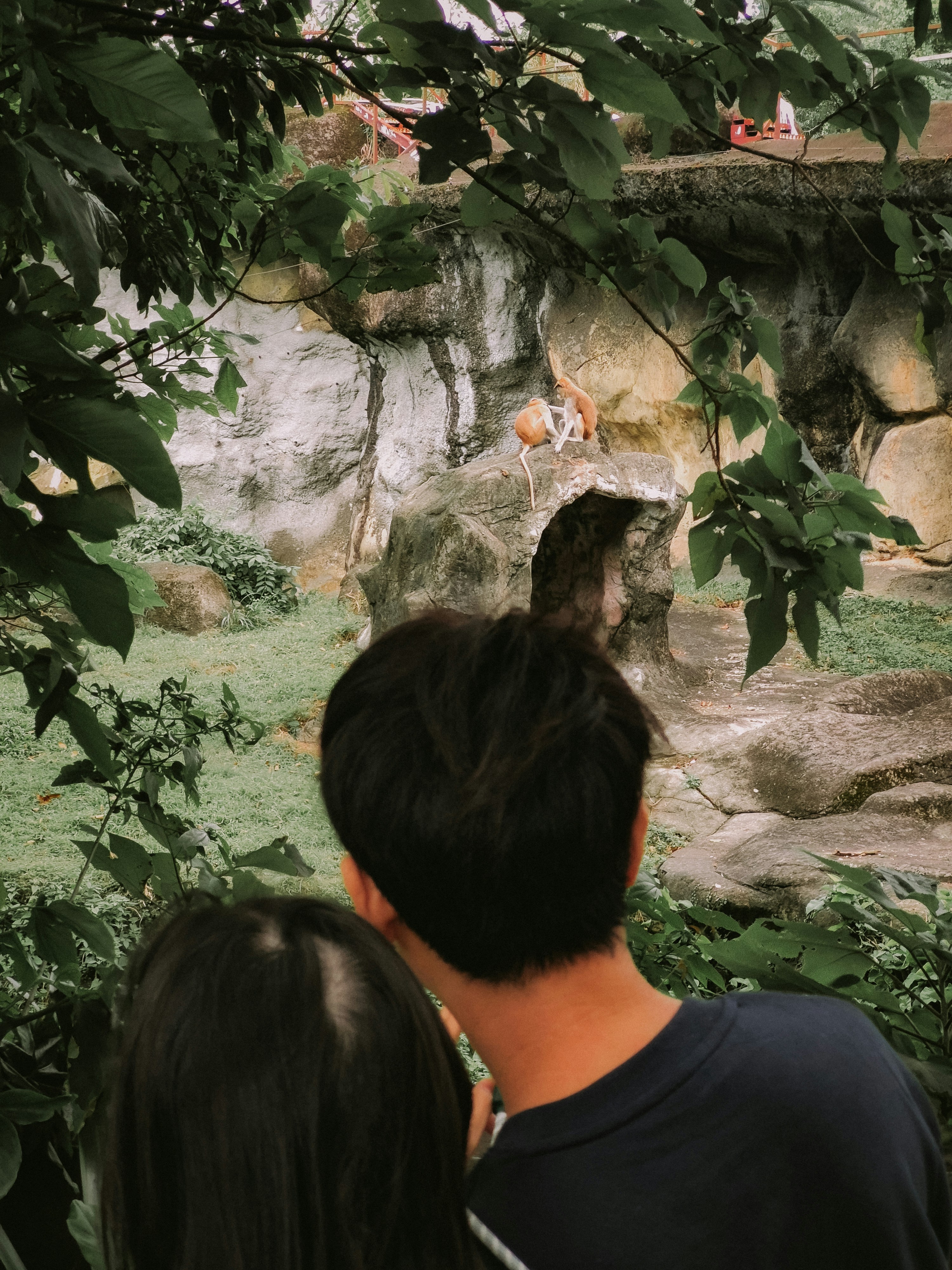 Visitors Observe a perched flamingo-like bird near a carved grotto from a leafy overlook