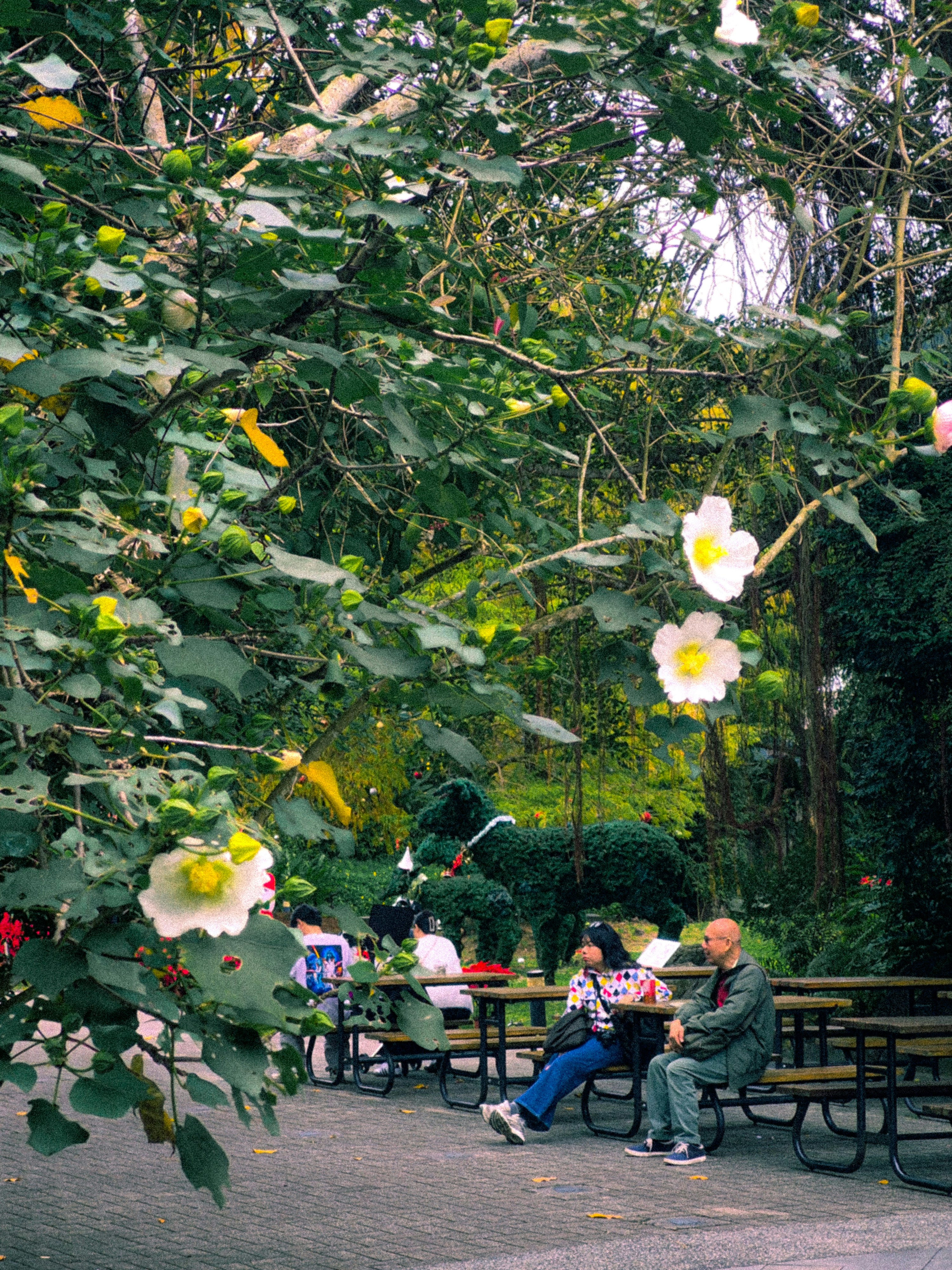 Sunlit Garden Café: People Gather Beneath a Floral Canopy