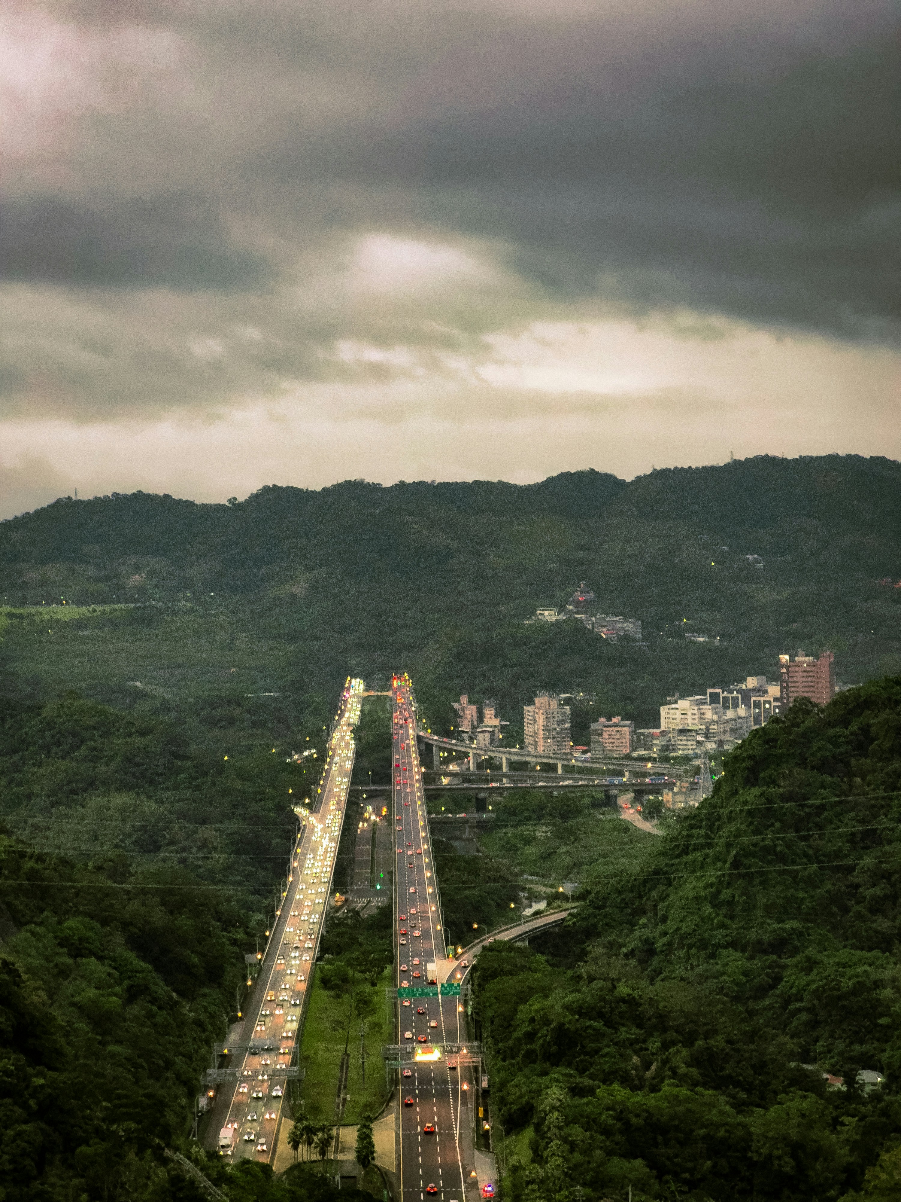 Elevated Spine: A City Bridge Winding Through Green Valleys