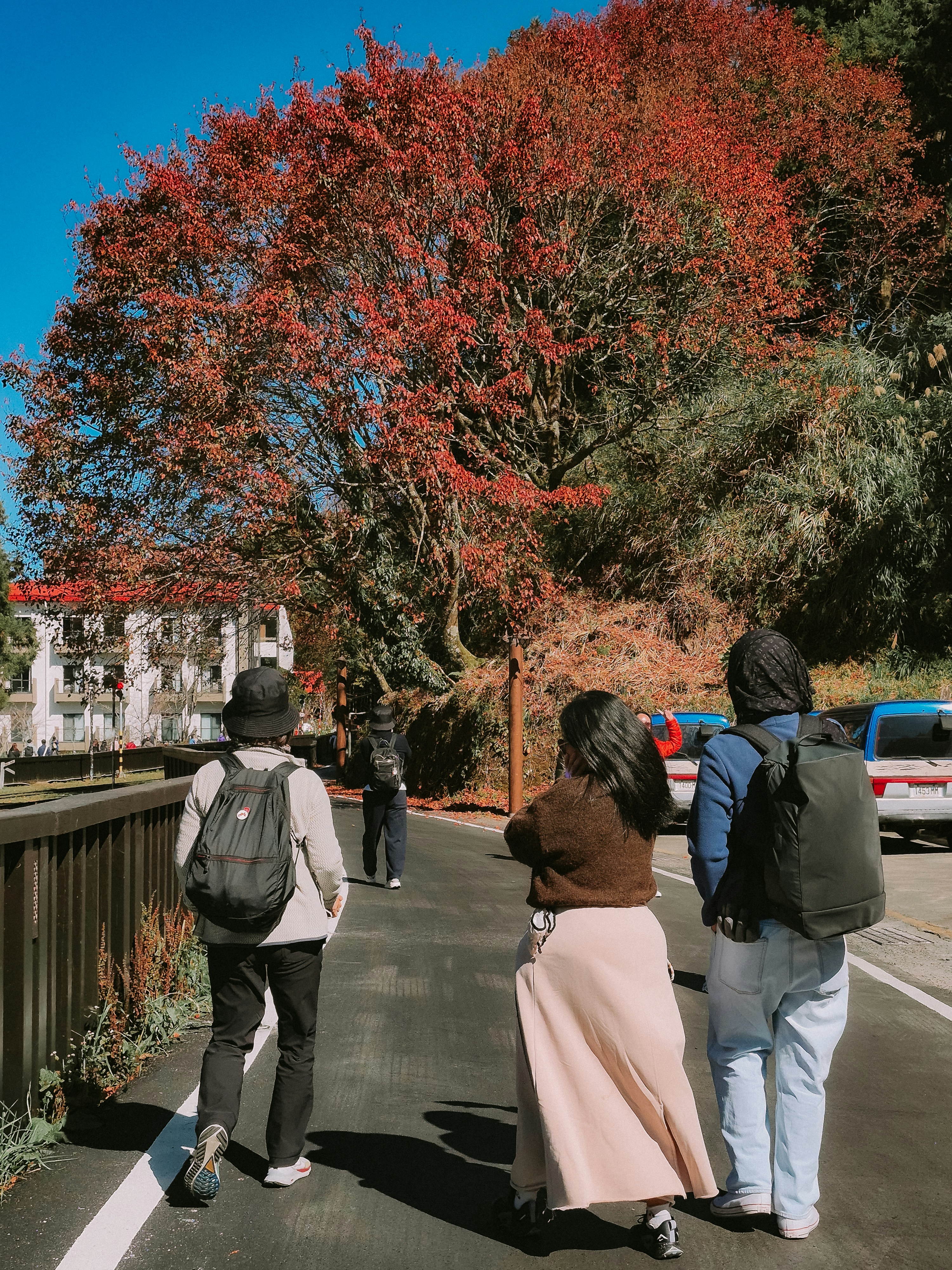 Autumn Walk: A Group of Friends Beneath Burnished Foliage