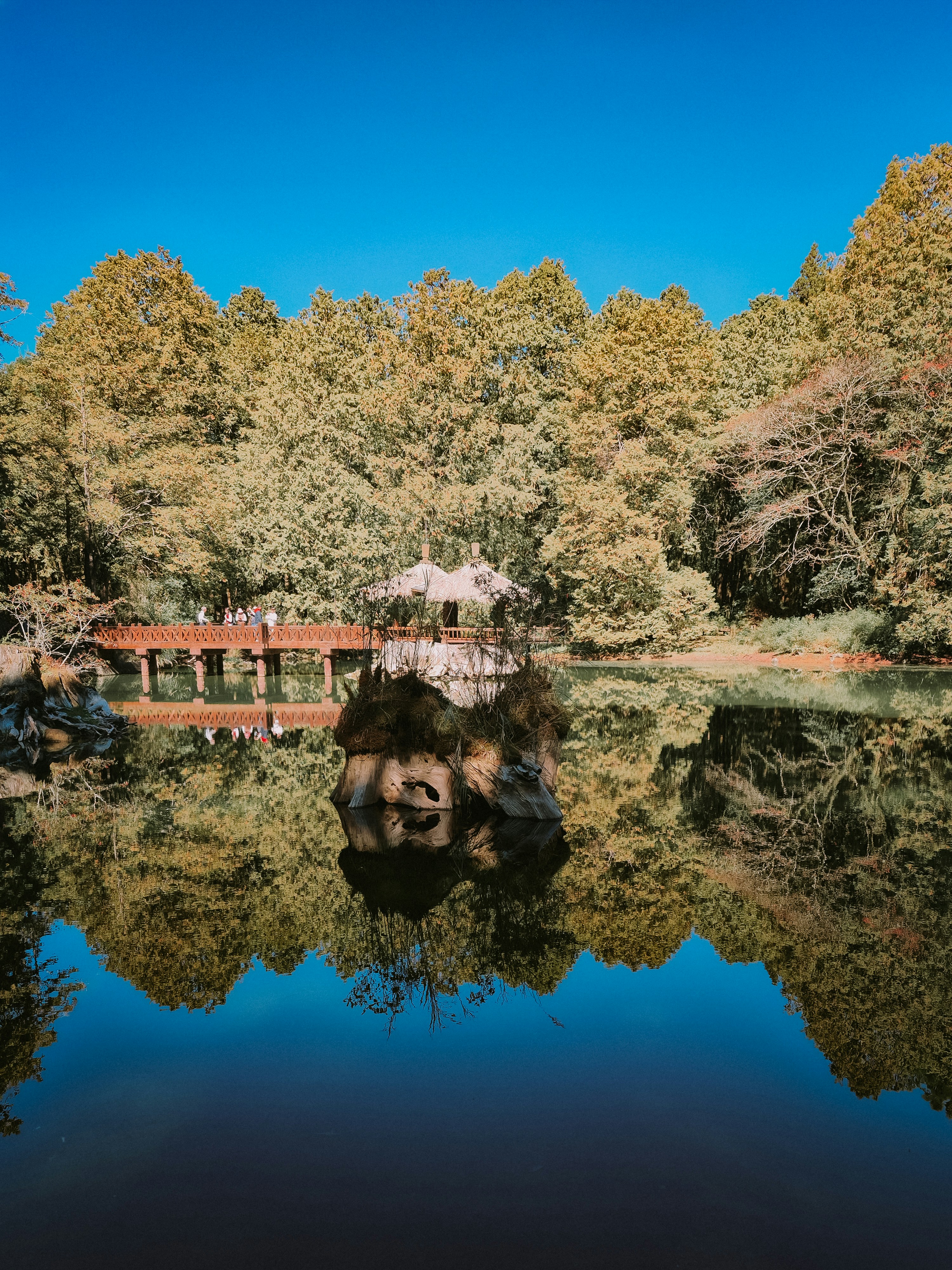 Mirror Lake Gazebo at Dusk