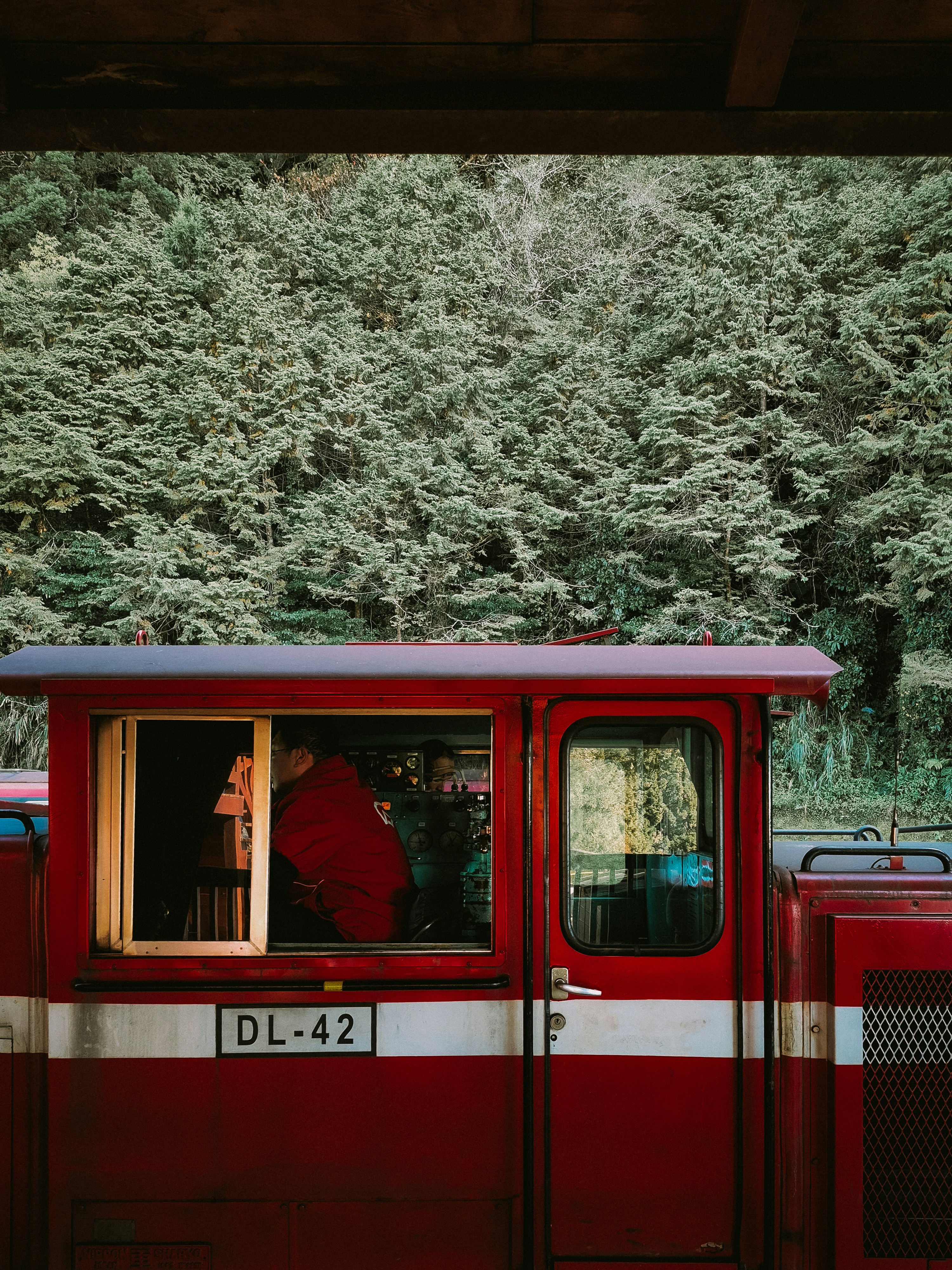 Red Train Window: A Quiet Car framed by Pines