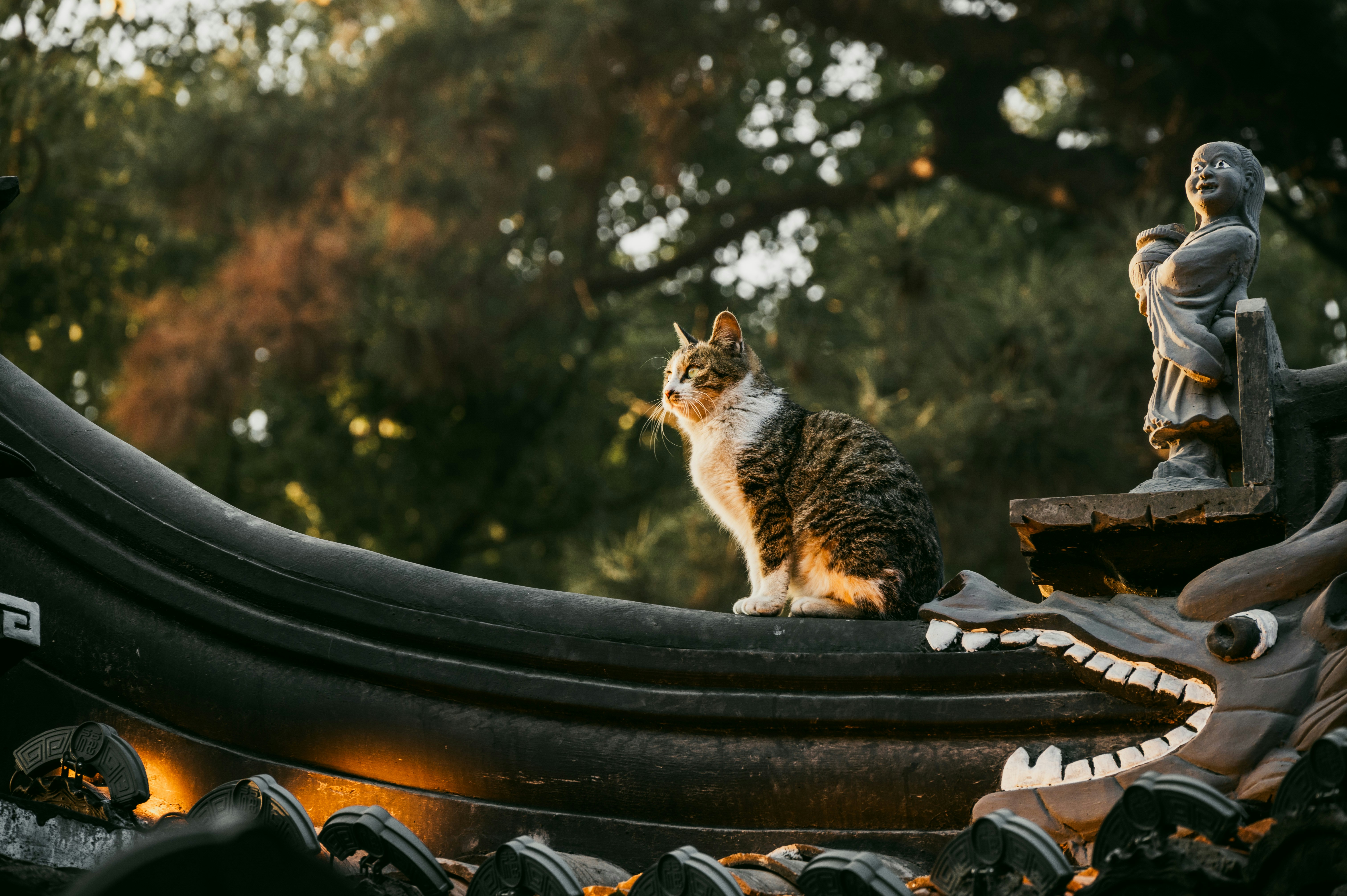 On a Curved Roof: a Watchful Cat by a Stone Figurine