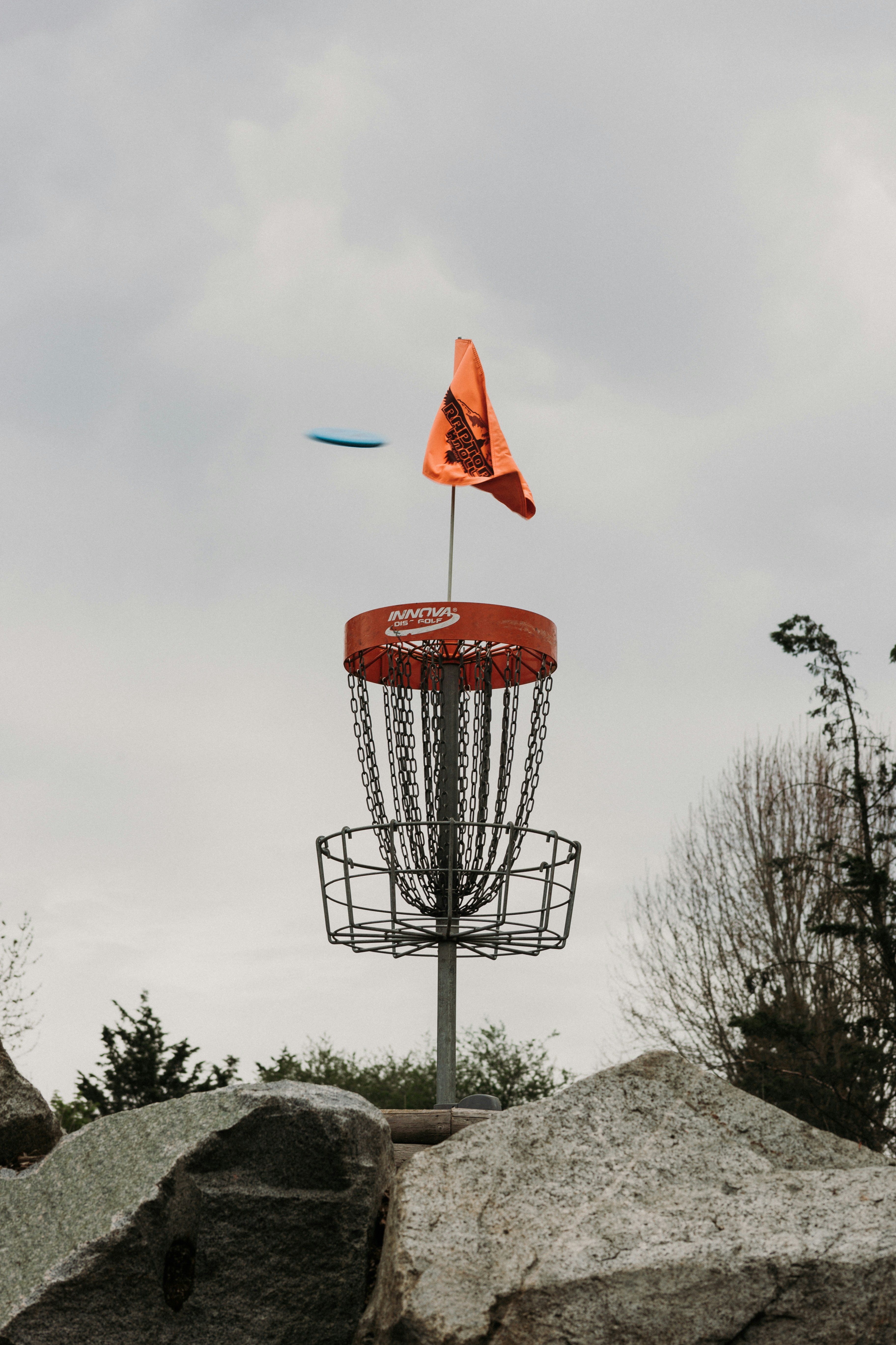 Flagged Disc, Floating Frisbee: A Quiet Toss at the Park