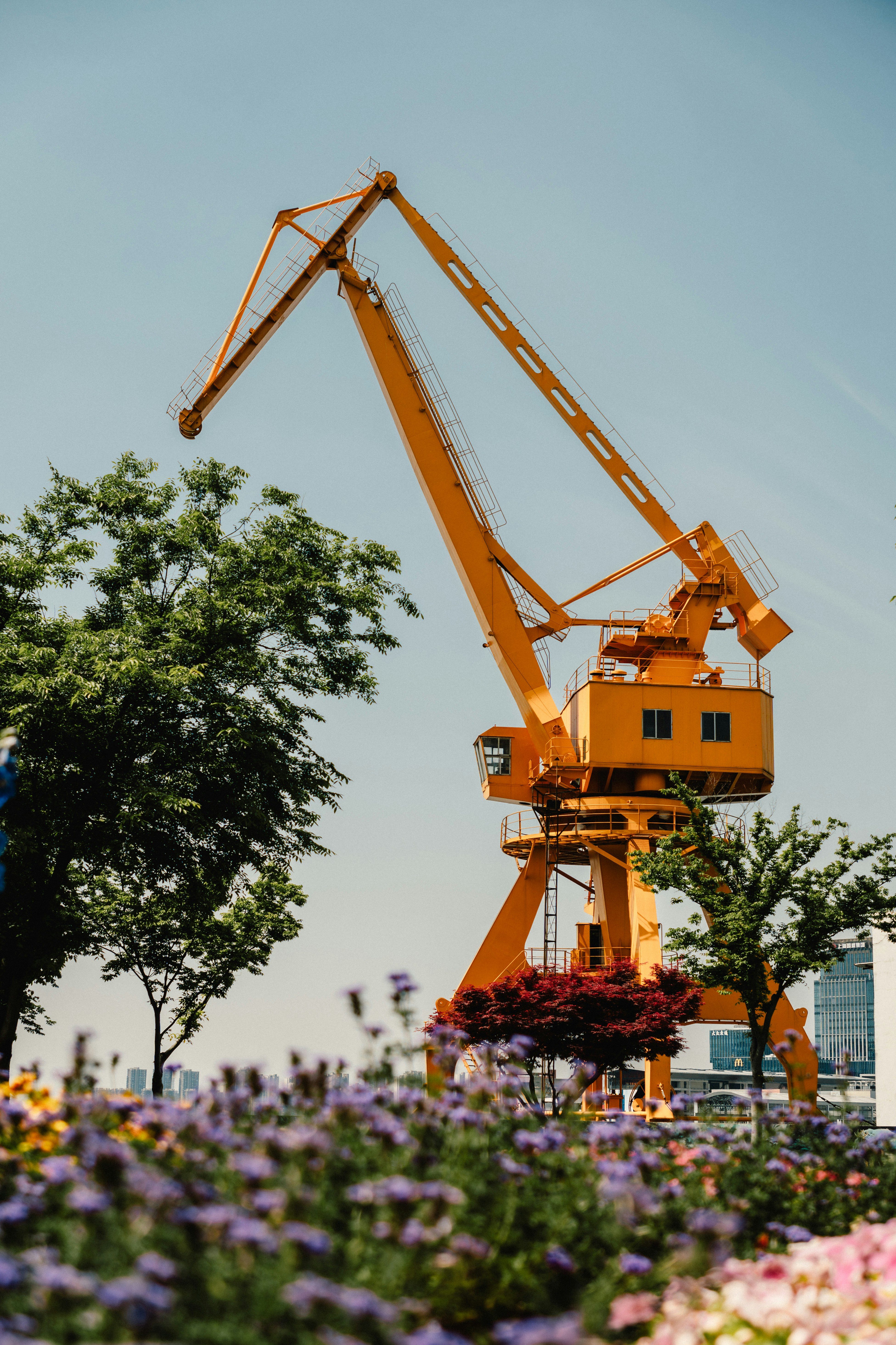 Orange Crane Reaching Toward a Clear Sky Above a Flower-filled Foreground