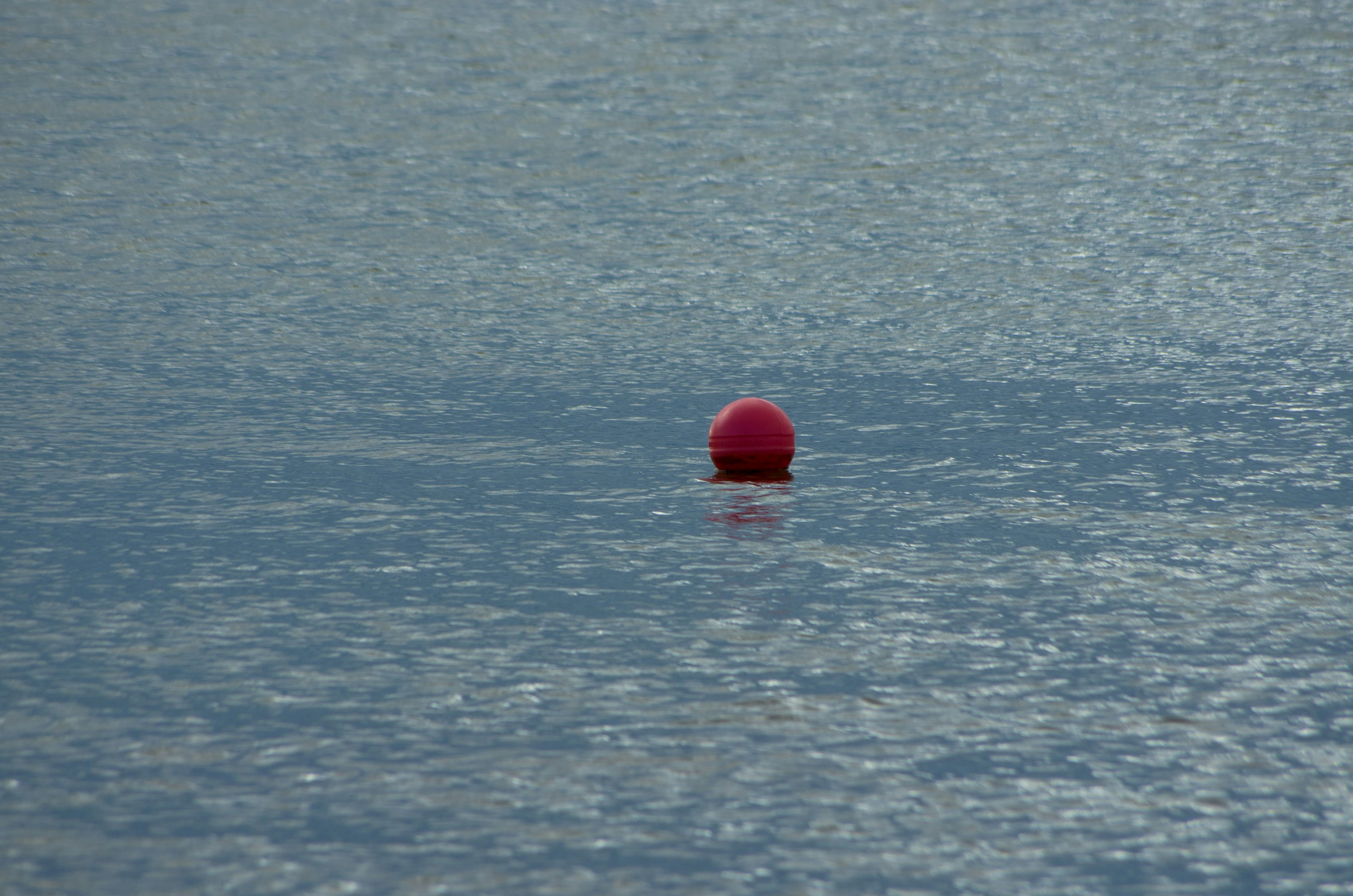 Red Buoy Adrift on a Quiet Blue Canvas