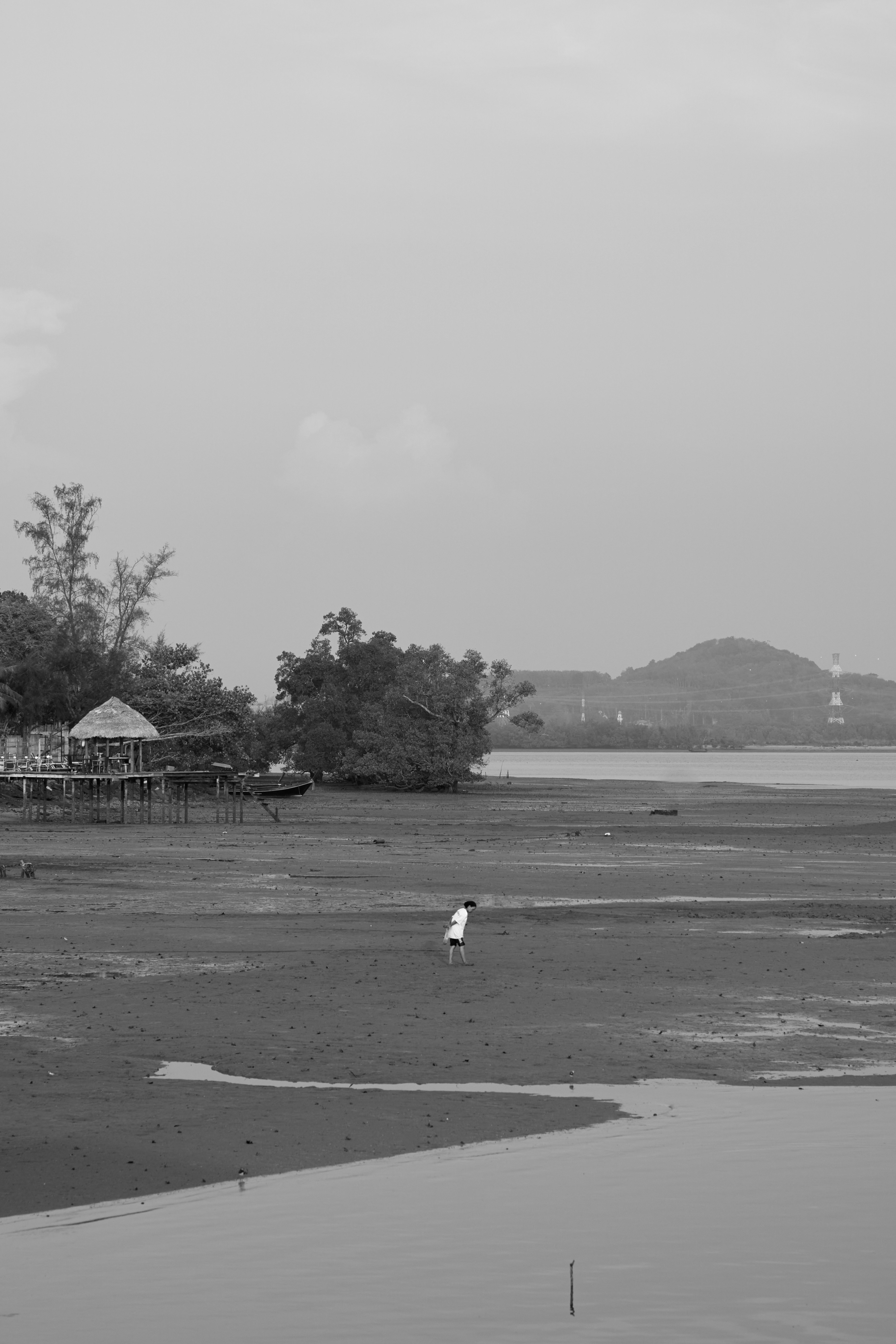 Lonely Seaside Walker at Steel-gray Tide