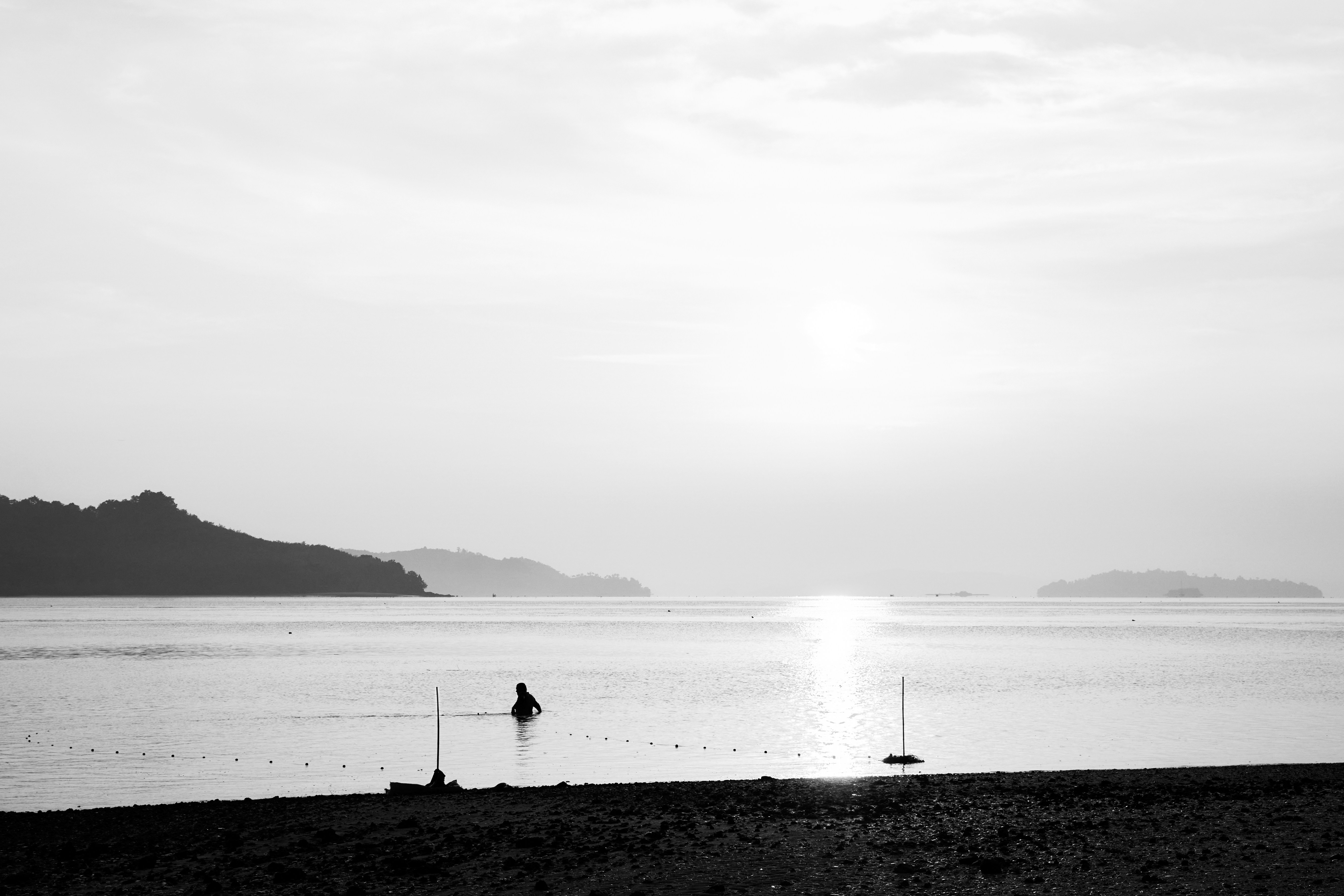 Silhouette at Dusk: A Lone Surfer on a Quiet Shore