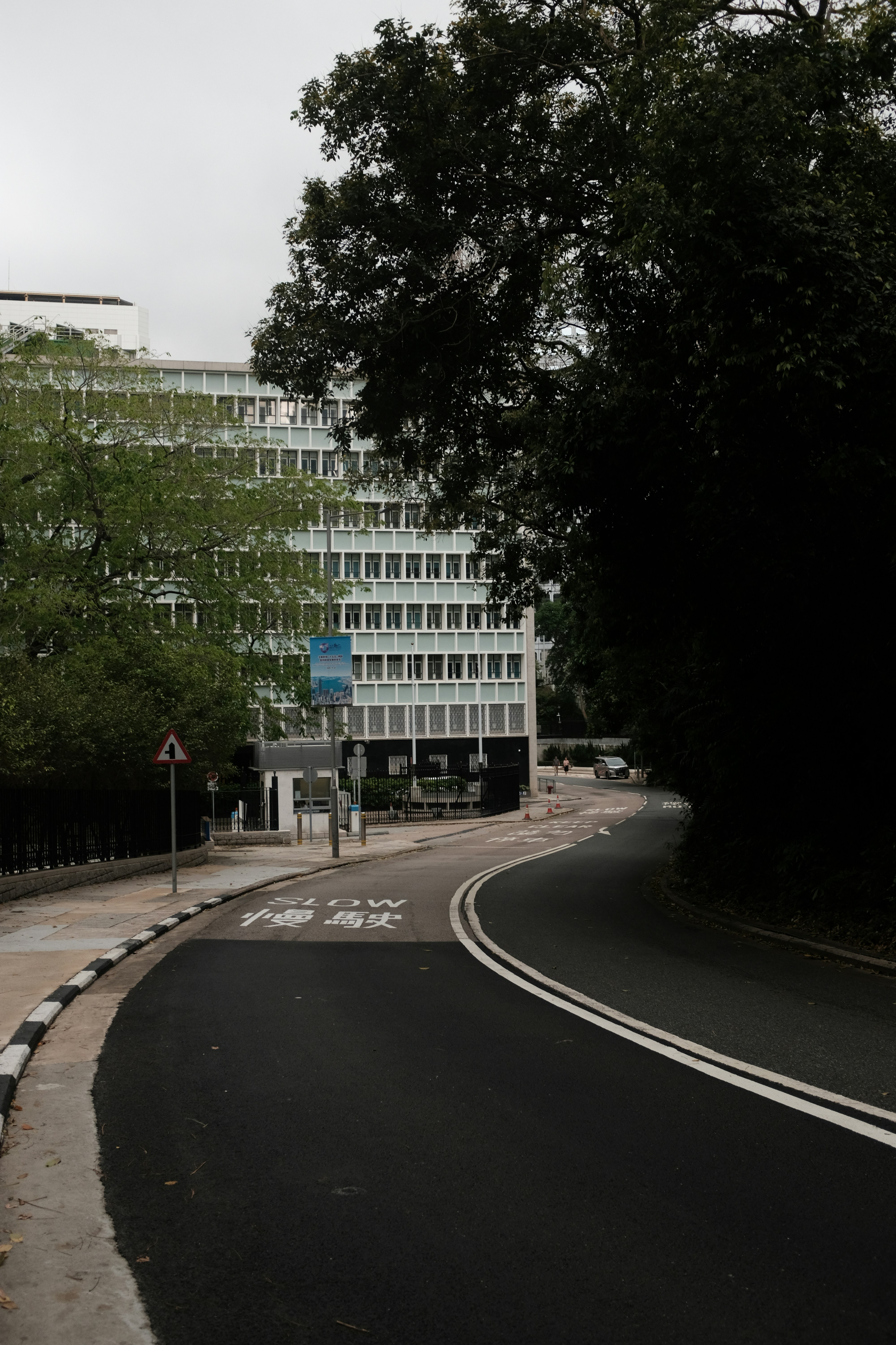 Curve in the City: A Quiet Drive Through Shaded Streets
