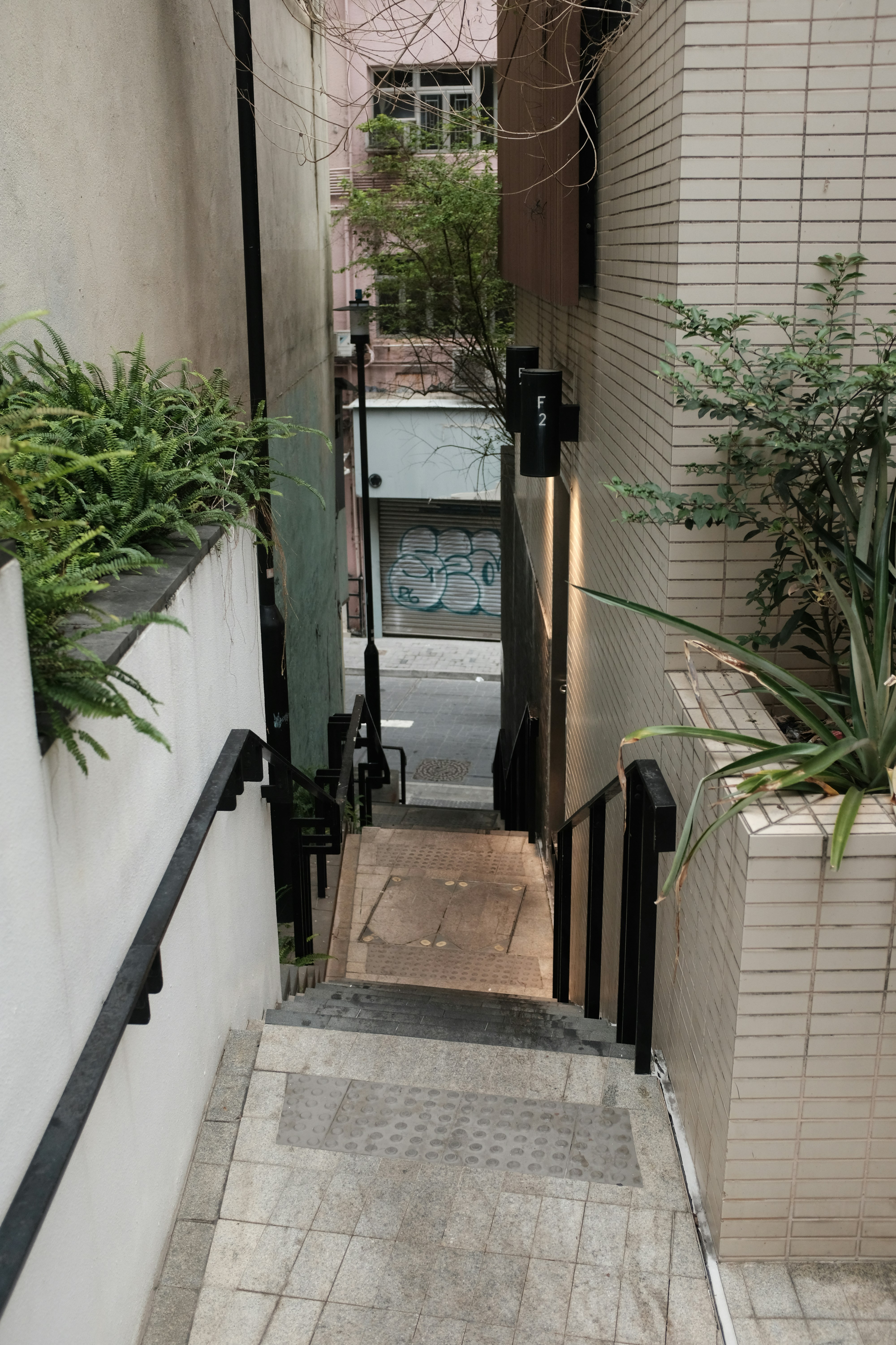 Urban Staircase Calm: A Narrow Ascent Between Buildings