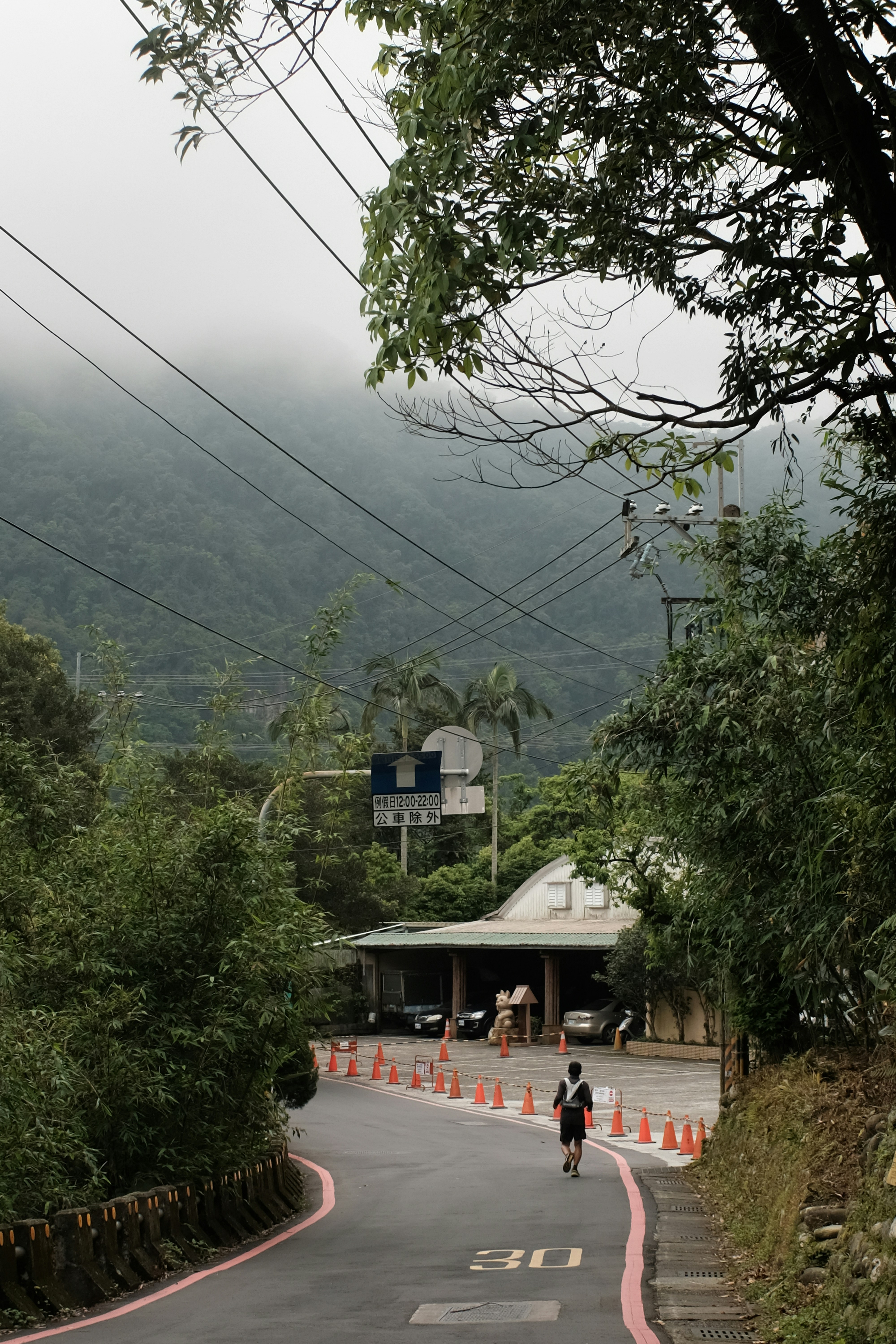 Road to Quiet Horizon Through a misty hillside