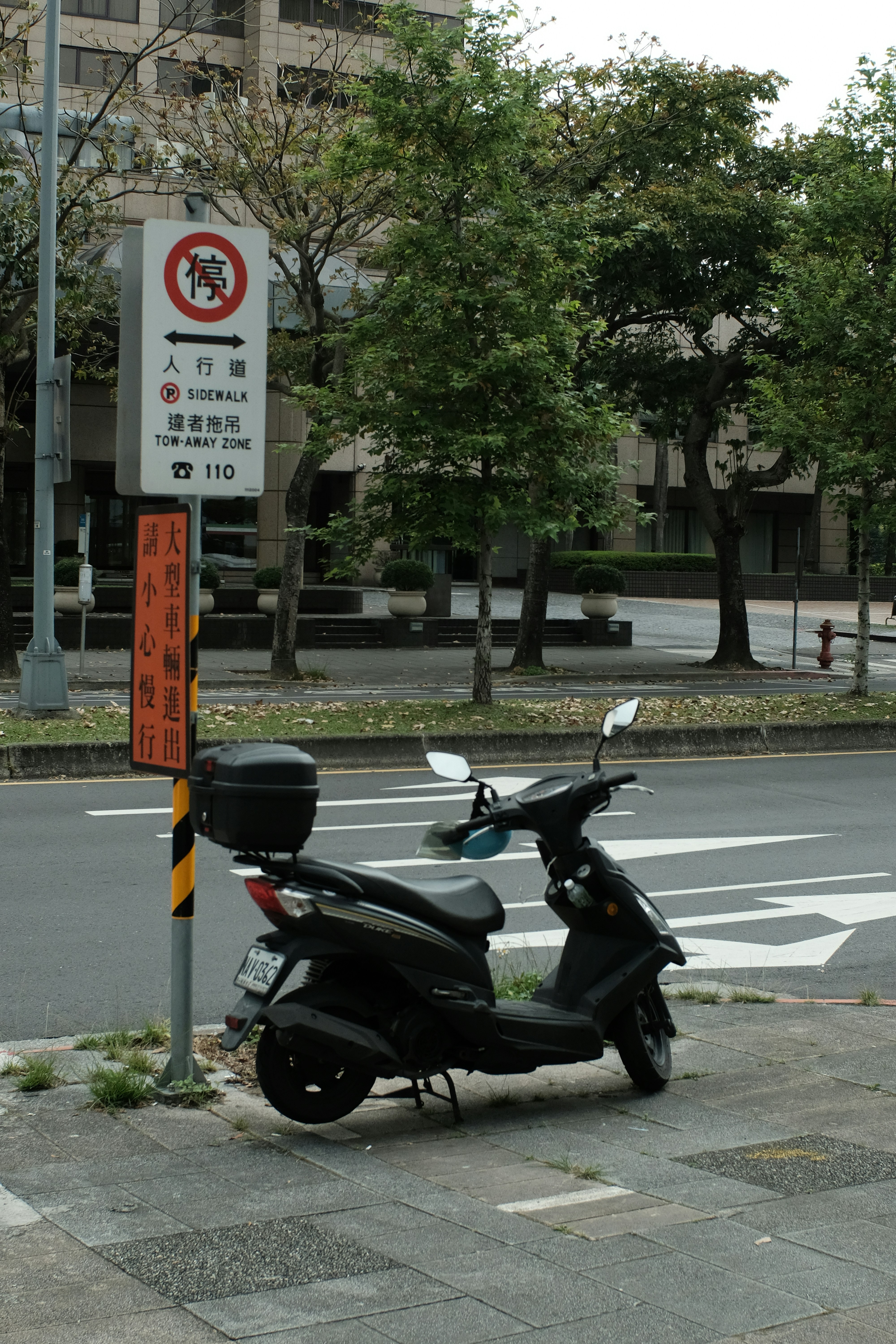 Scooter on the City Edge: Street Signage and Urban Trees