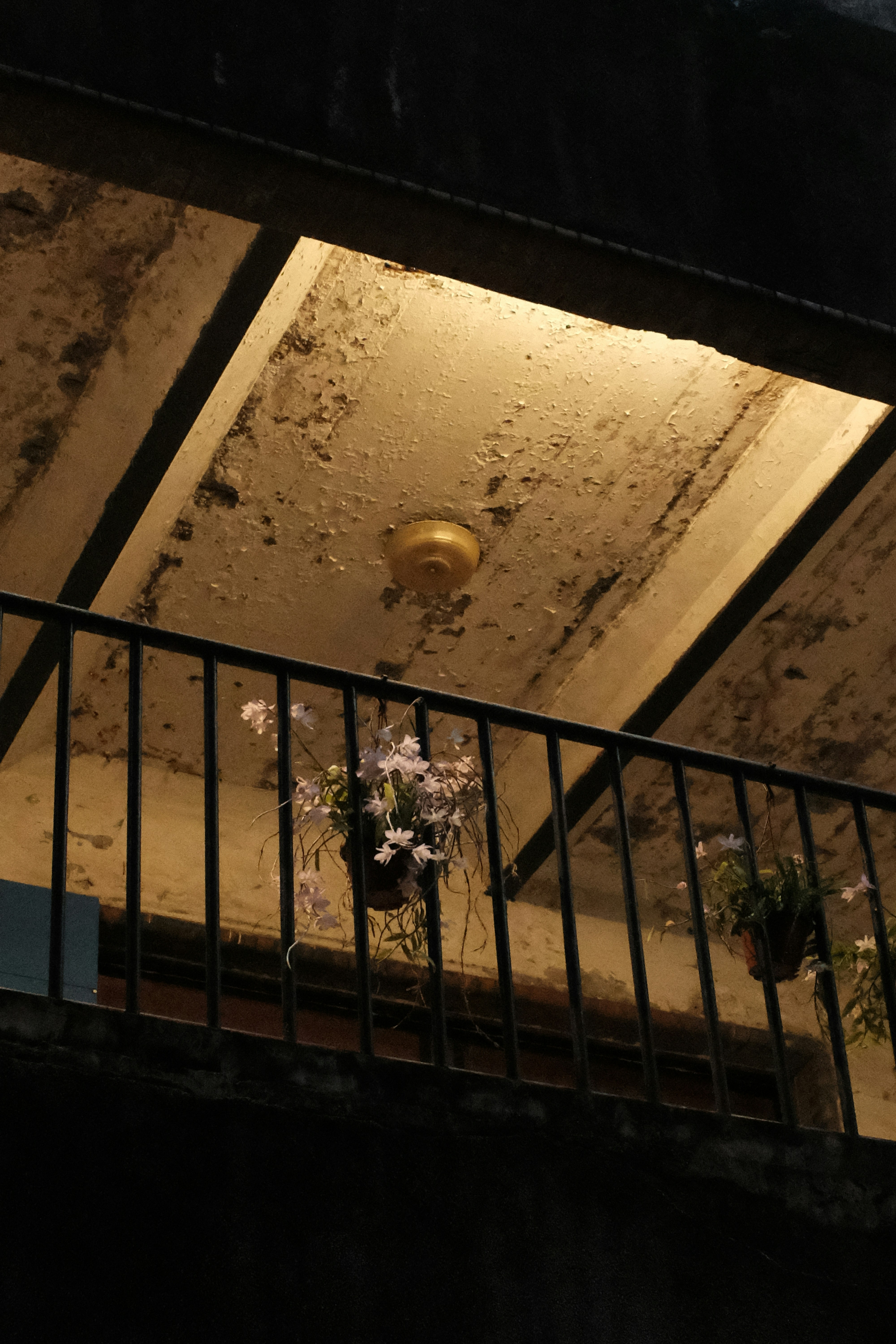 Dim Balcony Evening: A Lanterned Pot on a Wrought-Iron Rail